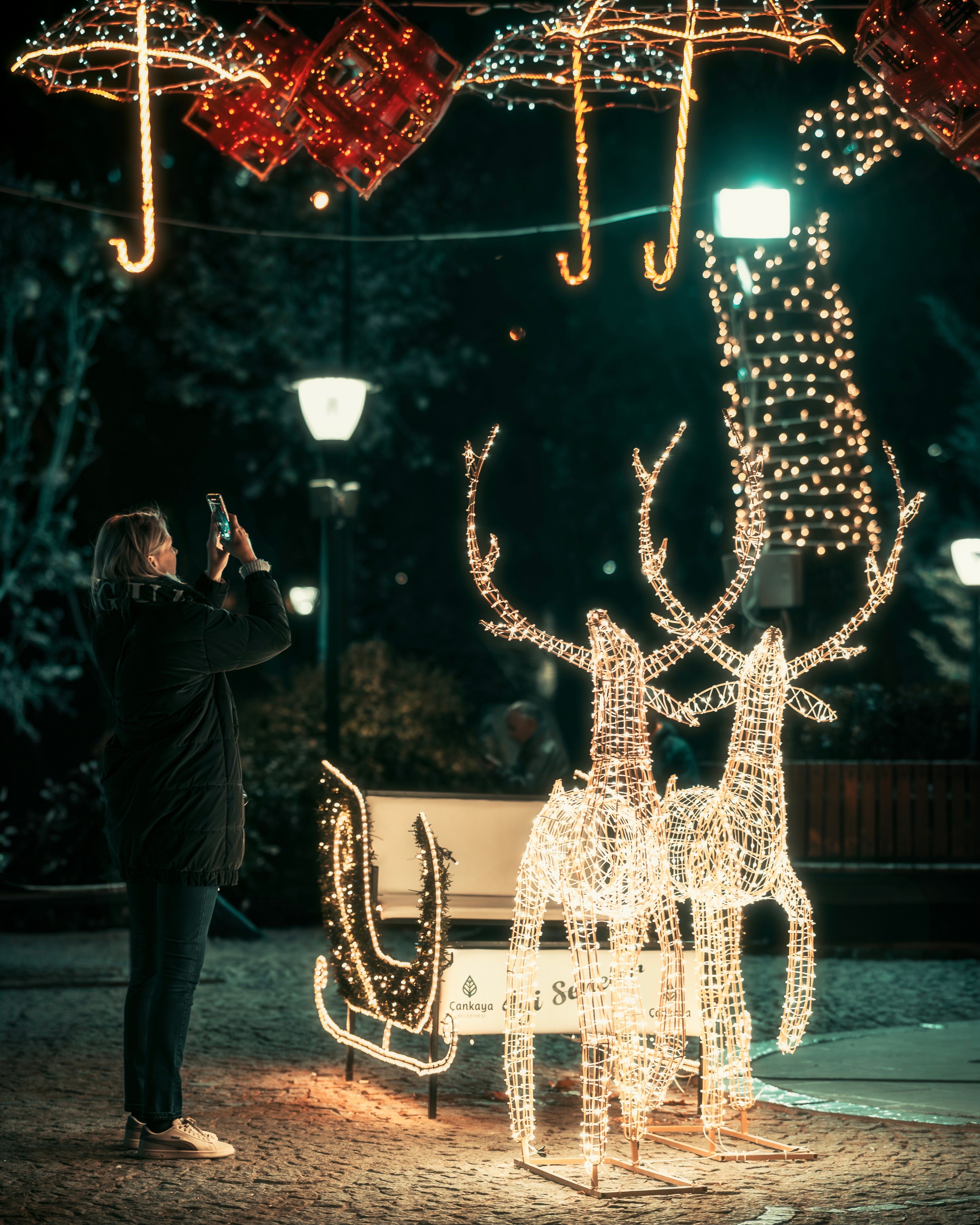 Back Lights Photos, Download The BEST Free Back Lights Stock Photos ...