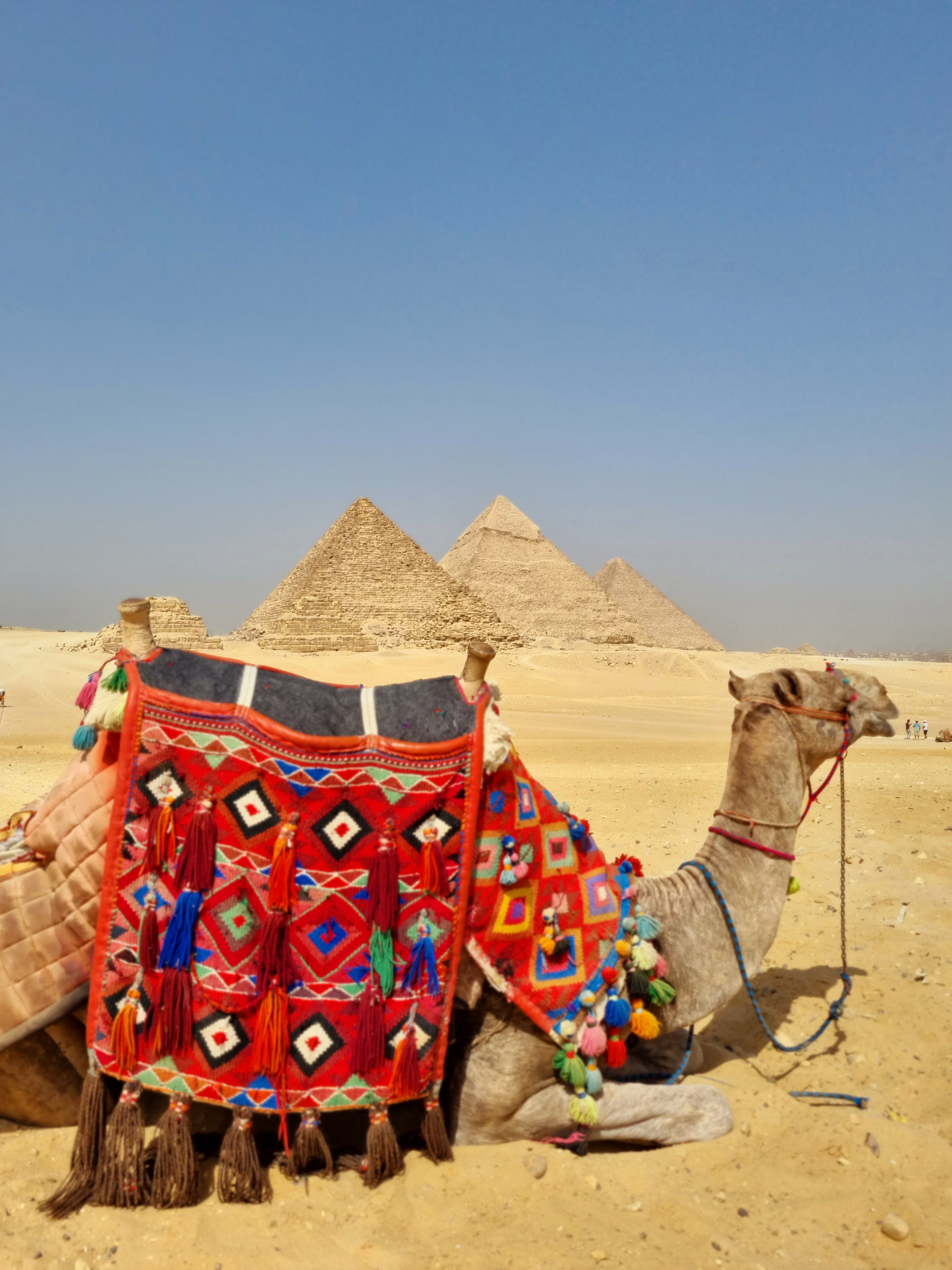 Pyramide Egipte Photos, Download The BEST Free Pyramide Egipte Stock ...