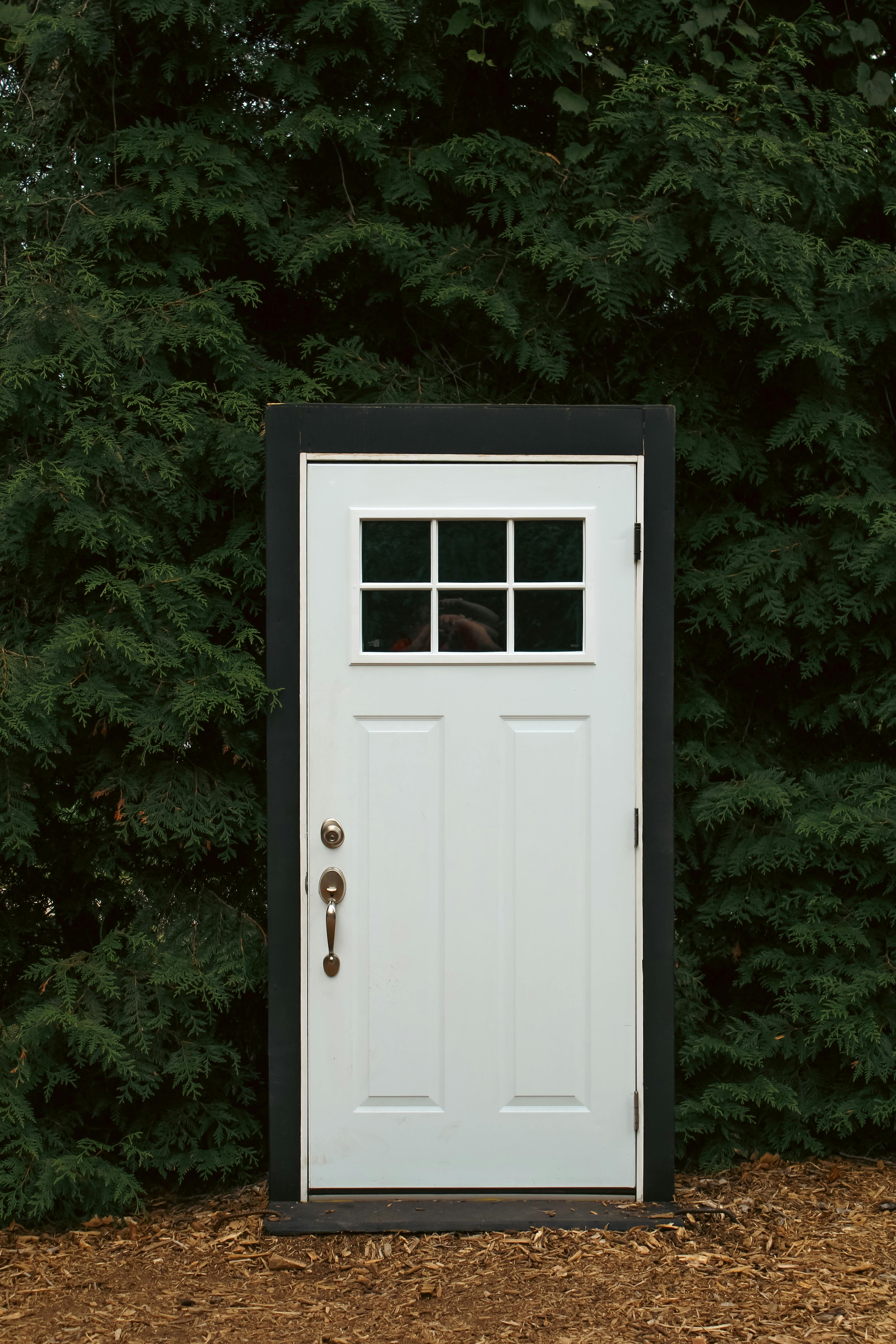 White Door with Frame Under the Tree · Free Stock Photo