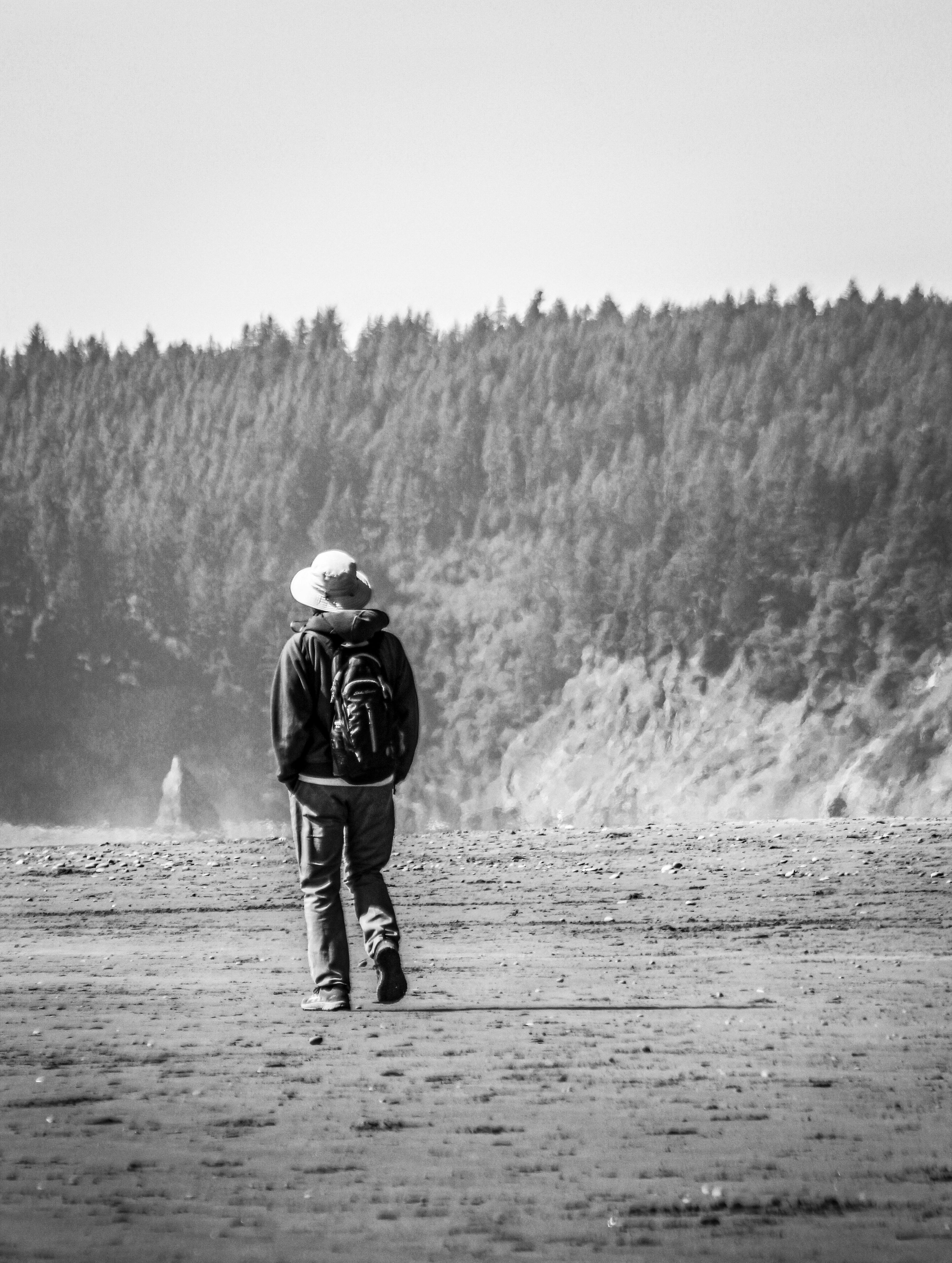Wandering Photos, Download The BEST Free Wandering Stock Photos & HD Images