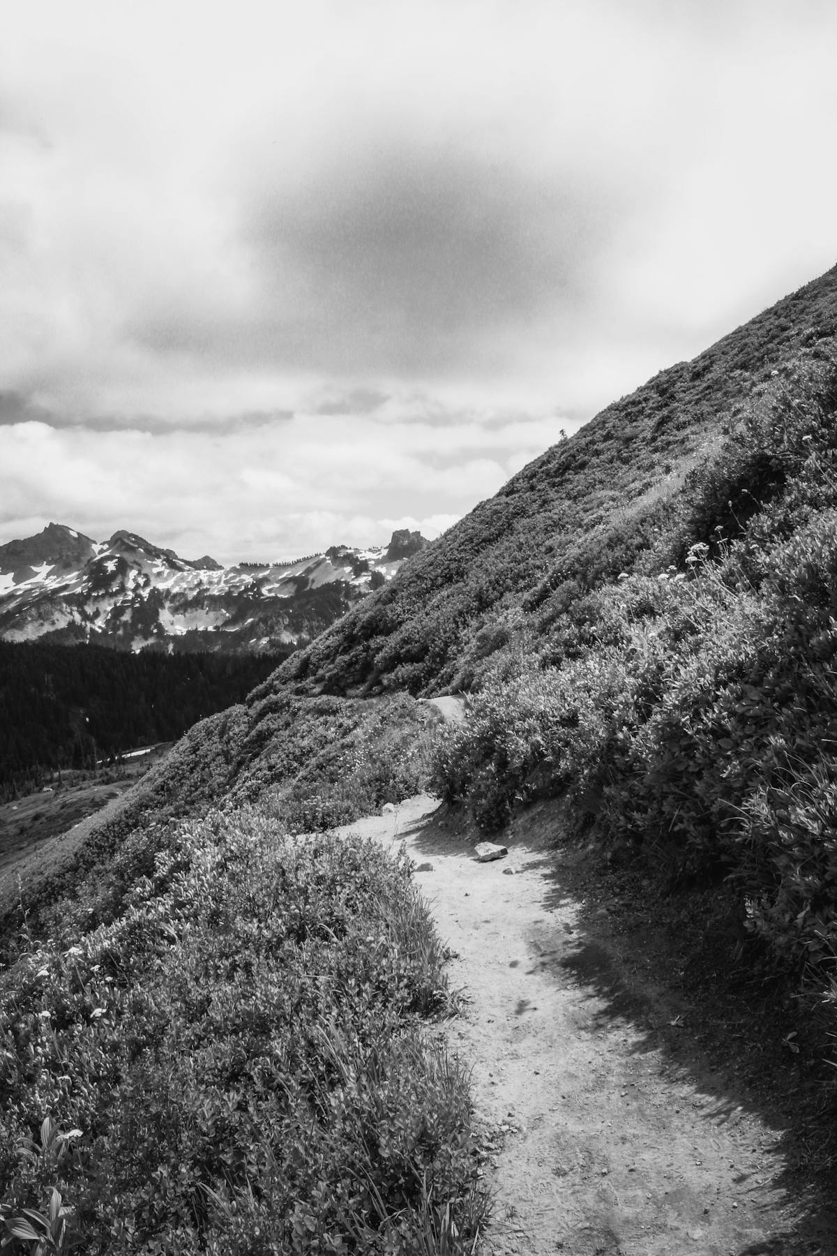 Mountainside Path Photos, Download The BEST Free Mountainside Path ...