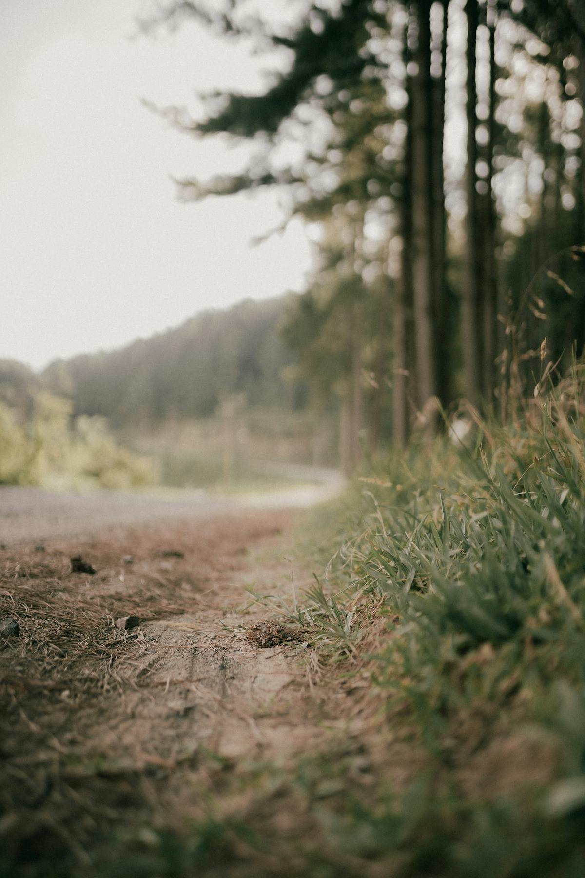 Road Bng Photos, Download The BEST Free Road Bng Stock Photos & HD Images