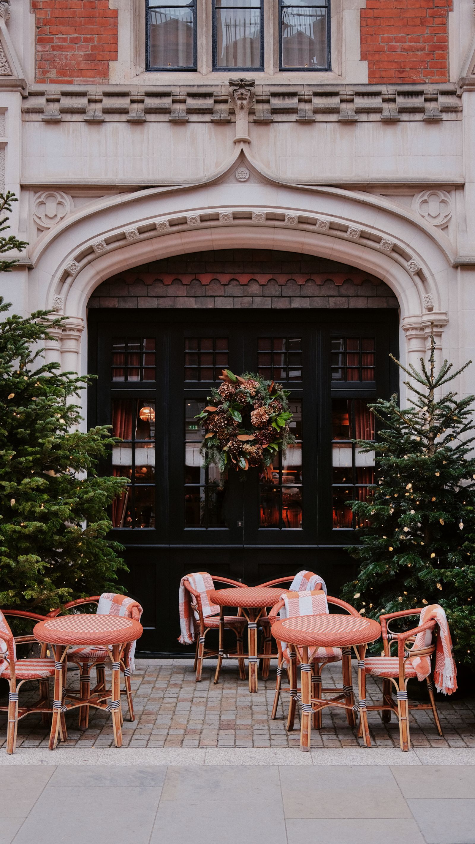 Christmas Trees Photos, Download The BEST Free Christmas Trees Stock ...