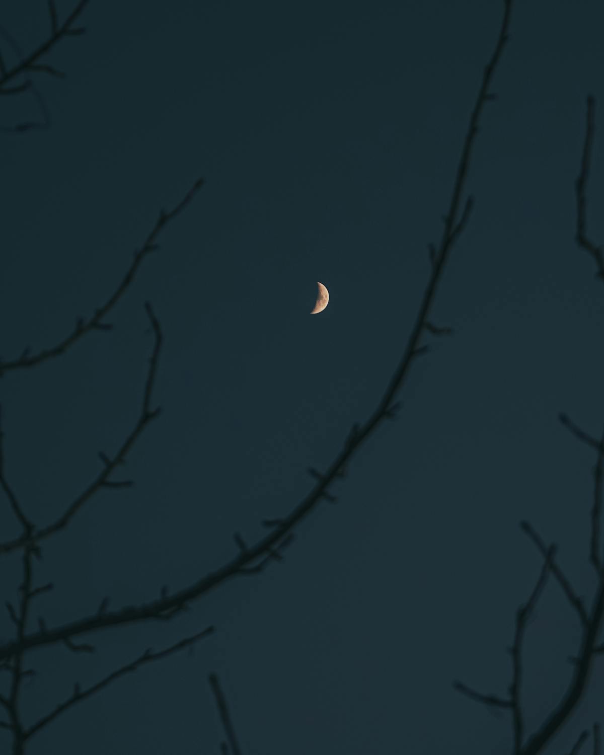 Hua Moon Photos, Download The BEST Free Hua Moon Stock Photos & HD Images