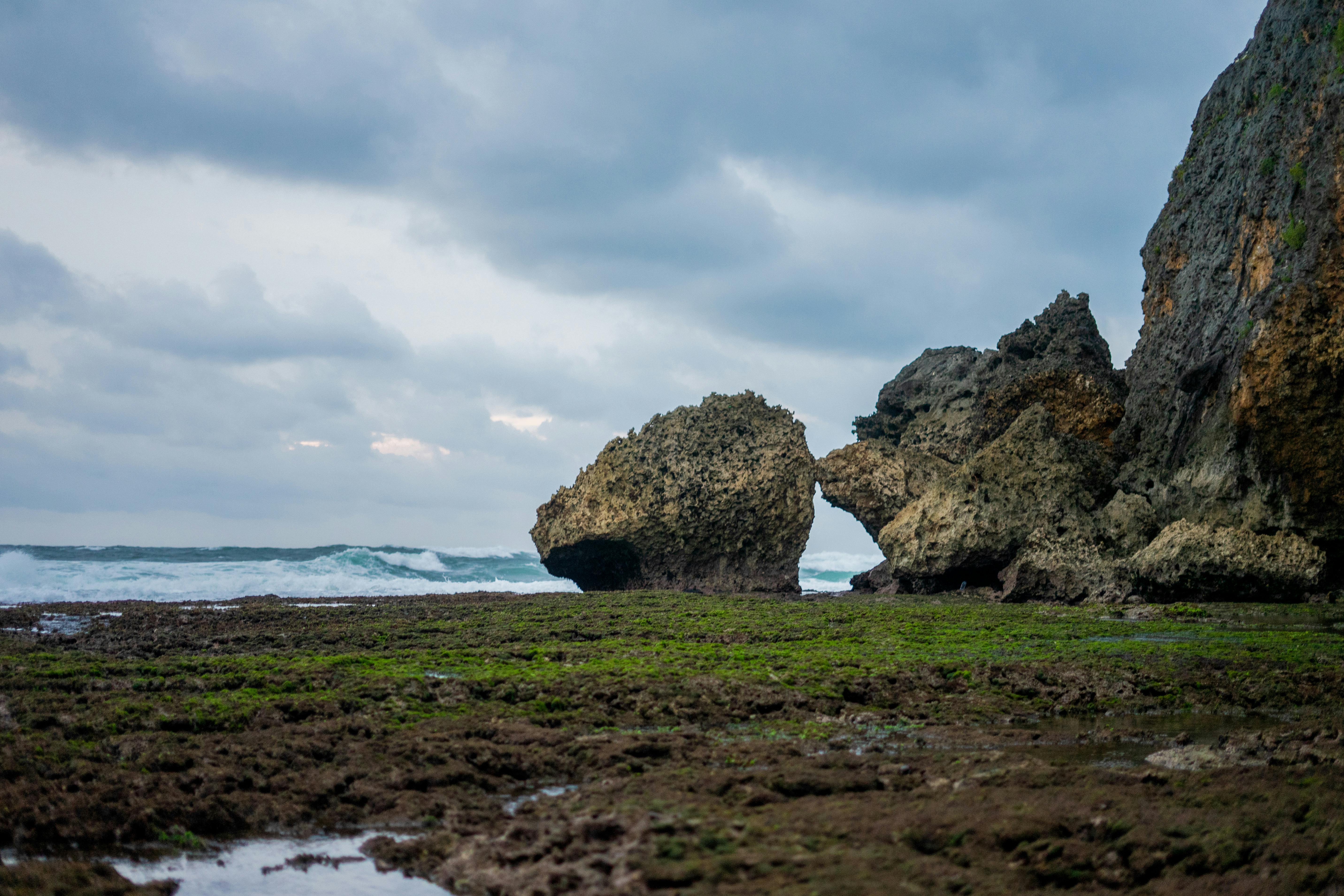 Rough Rocks on a Muddy Shore · Free Stock Photo