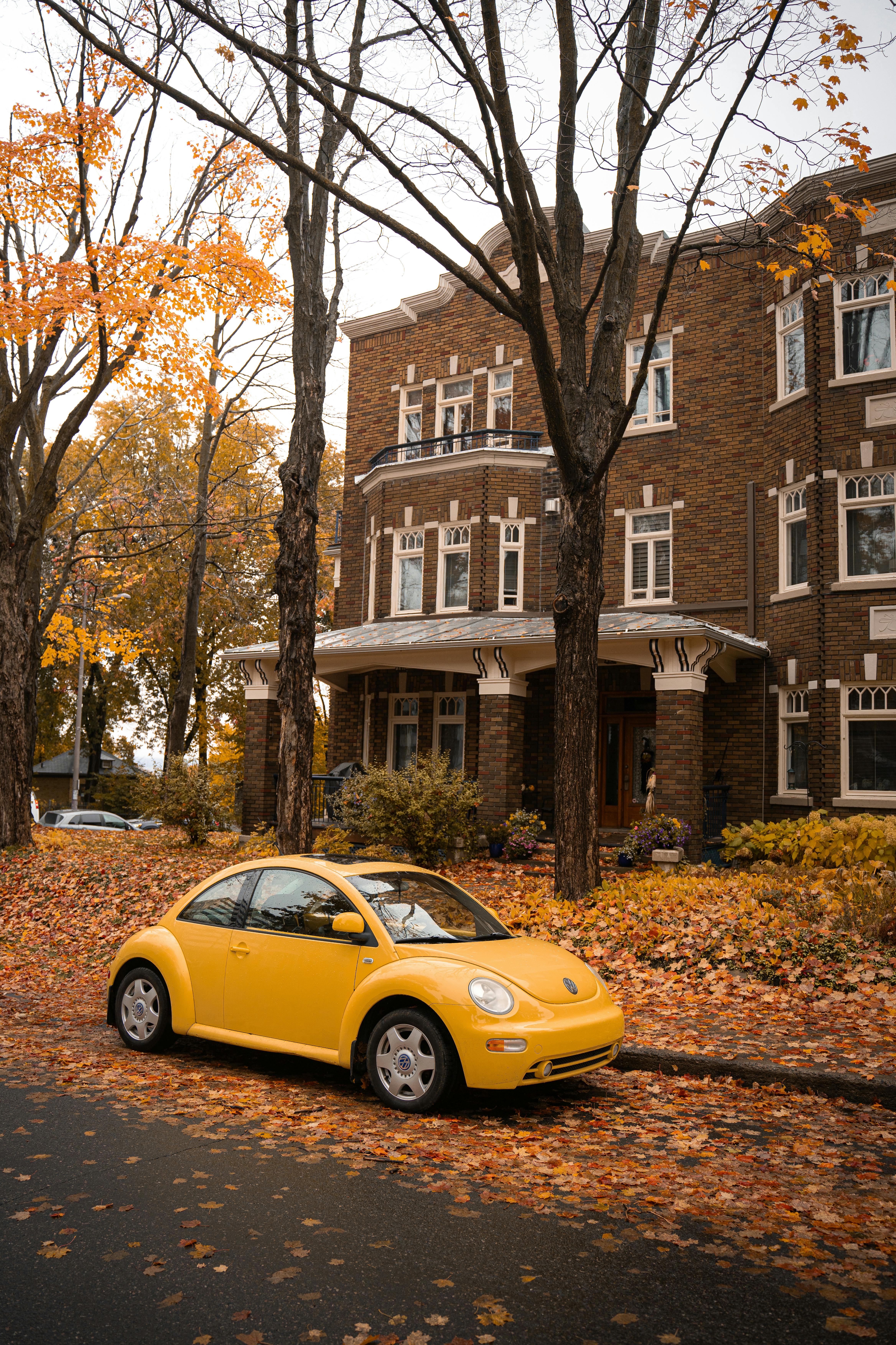 Volkswagen New Beetle in Autumn · Free Stock Photo