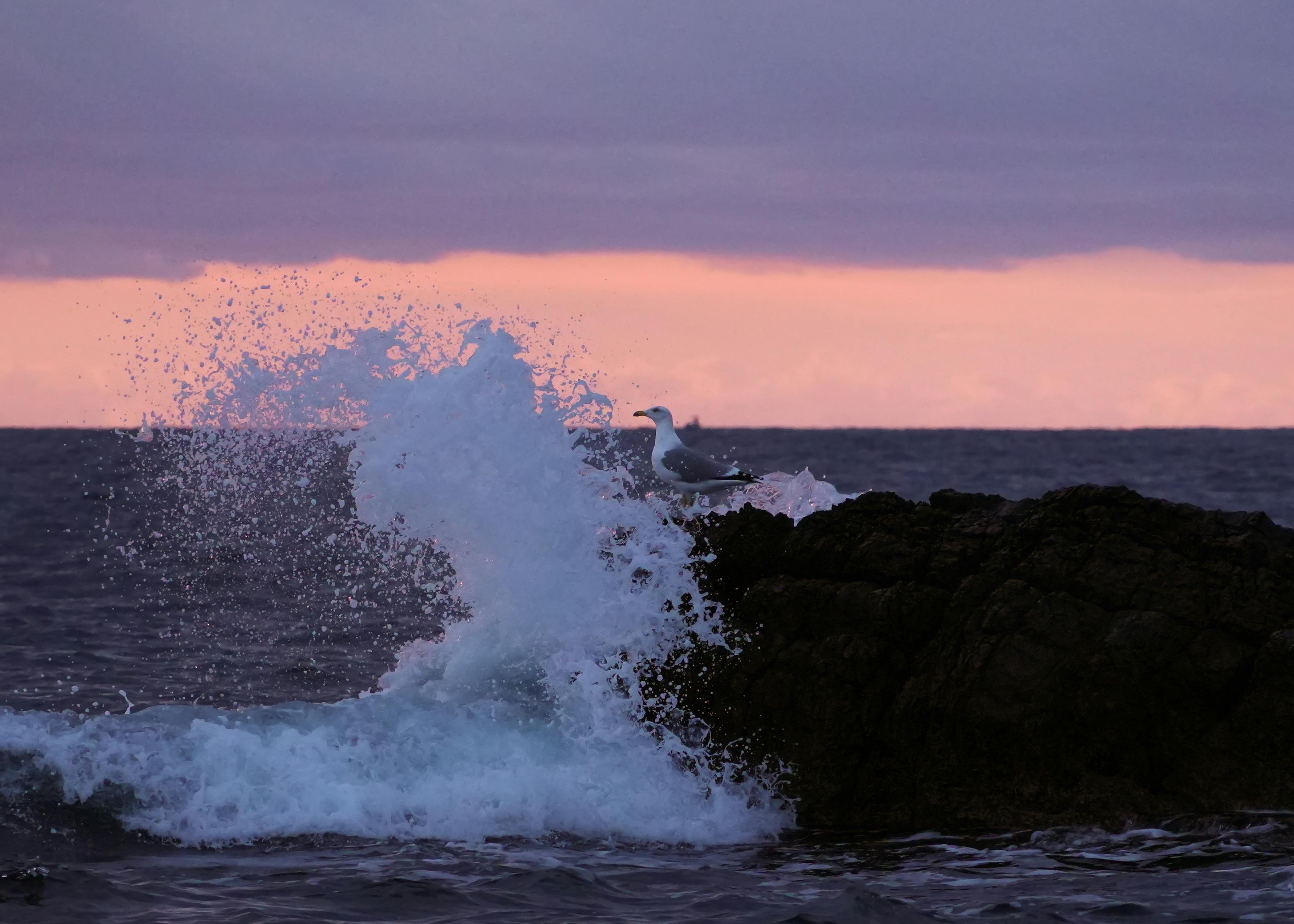 Hystar The Great Wave Photos, Download The BEST Free Hystar The Great ...