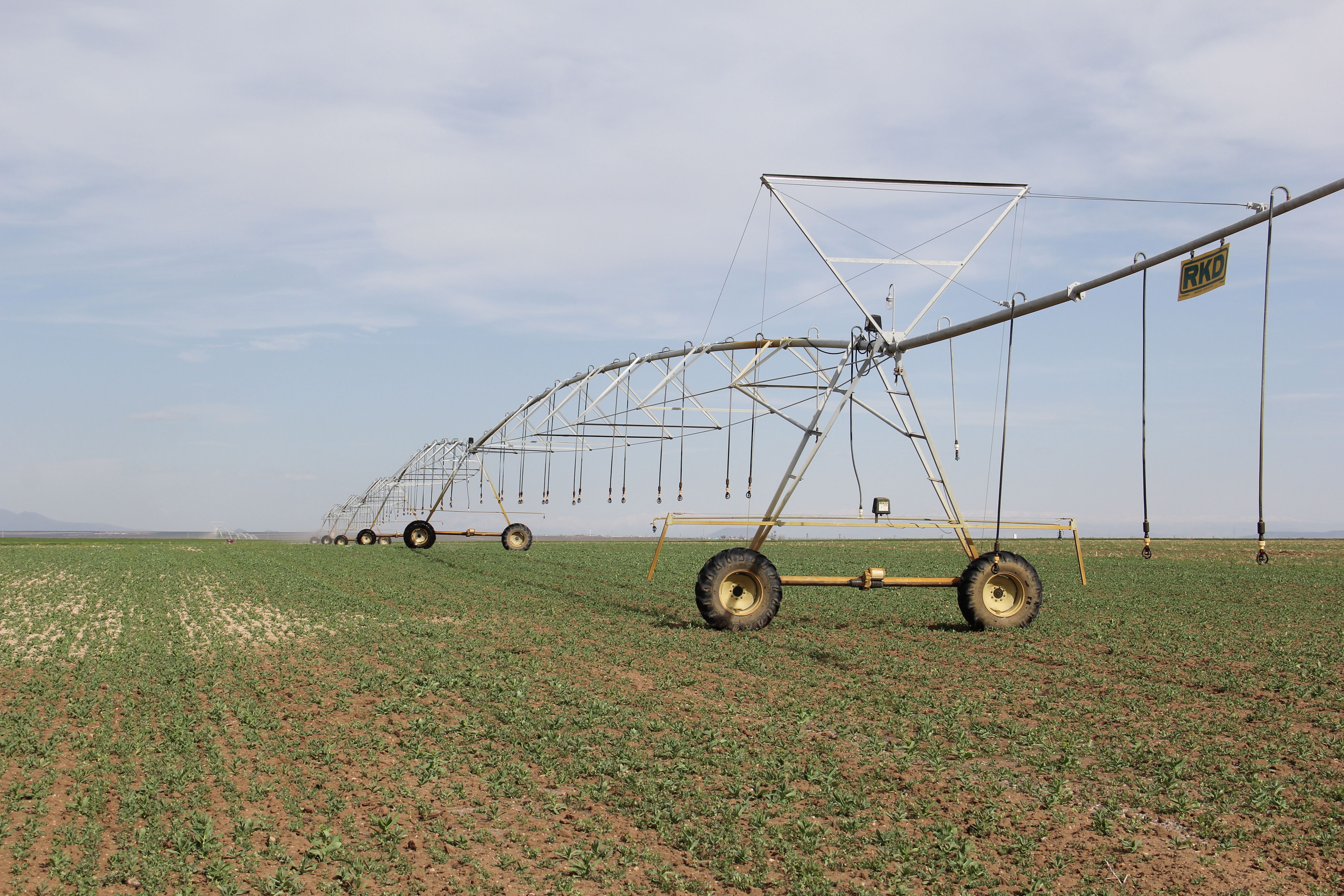 Irrigation Sprinkler Photos, Download The BEST Free Irrigation ...