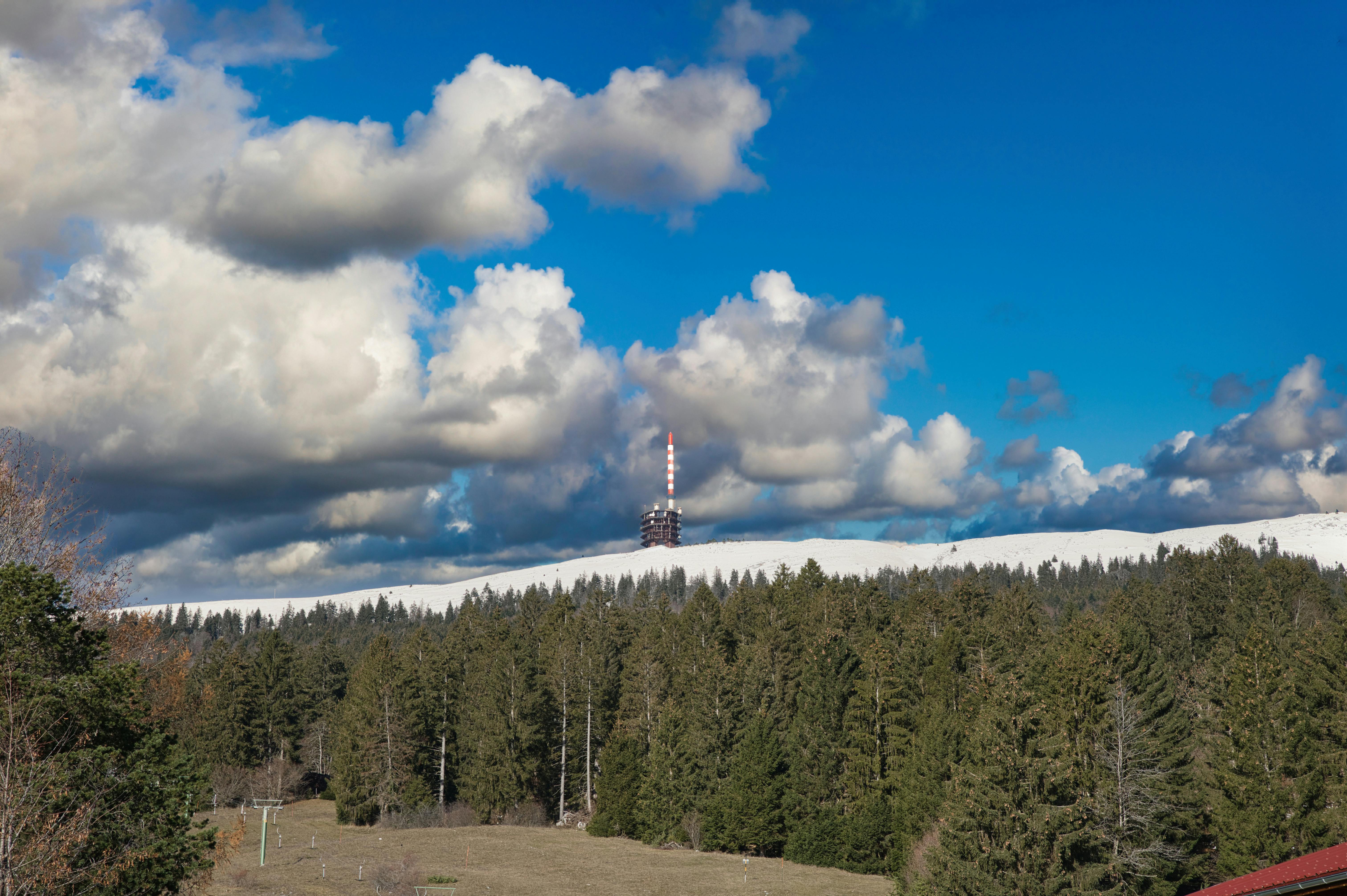 Foto de stock gratuita sobre arboles, bosque, cielo, conífera, conífero, fotos de nubes, valle, ver