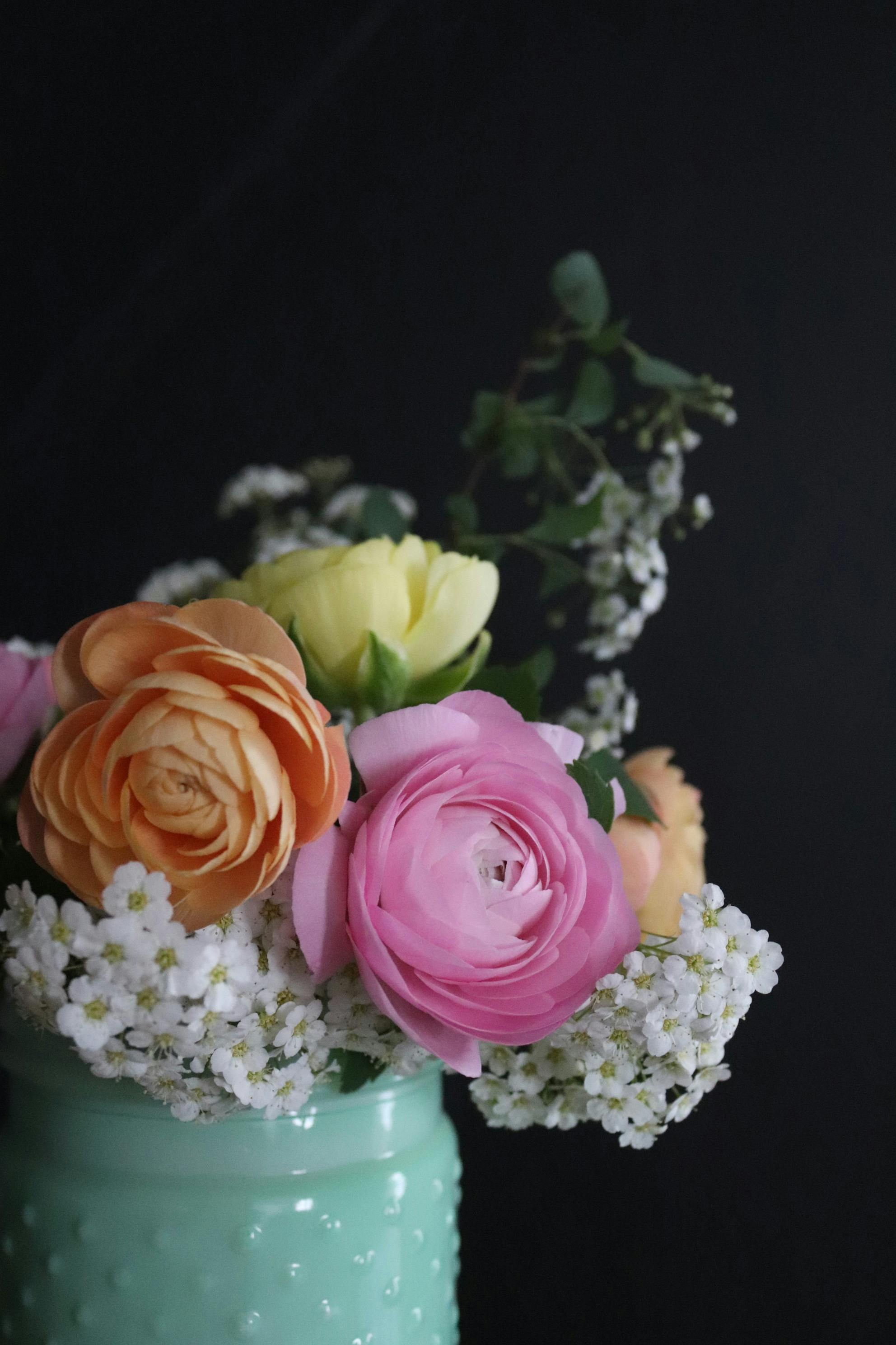 Rose Flowers Images Photos, Download The BEST Free Rose Flowers Images ...