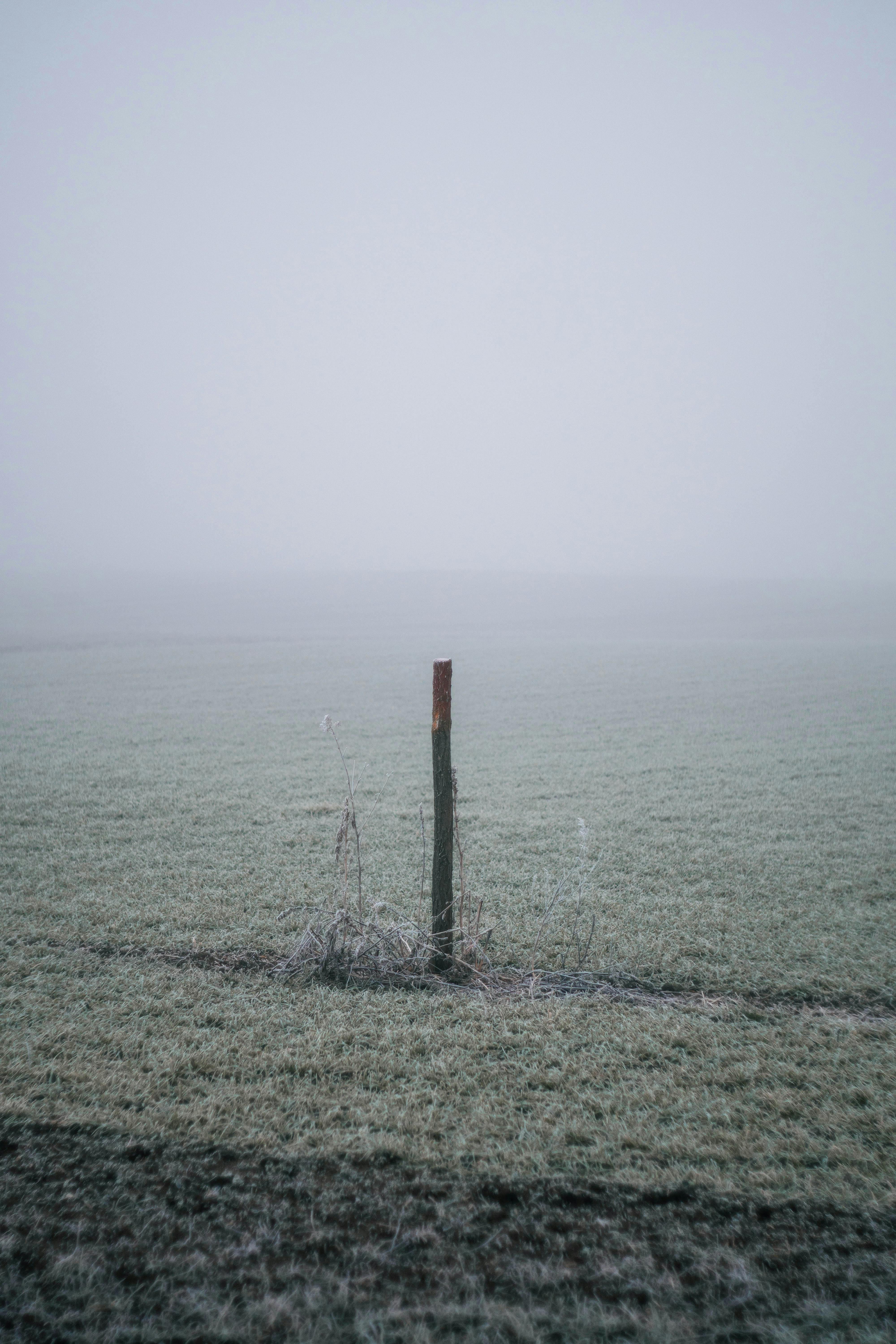 Ice Diffuse Photos, Download The BEST Free Ice Diffuse Stock Photos ...