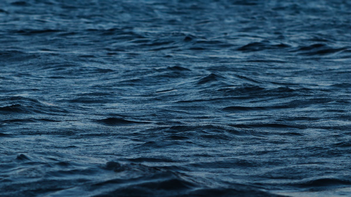 Wavy Photo Photos, Download The BEST Free Wavy Photo Stock Photos & HD ...