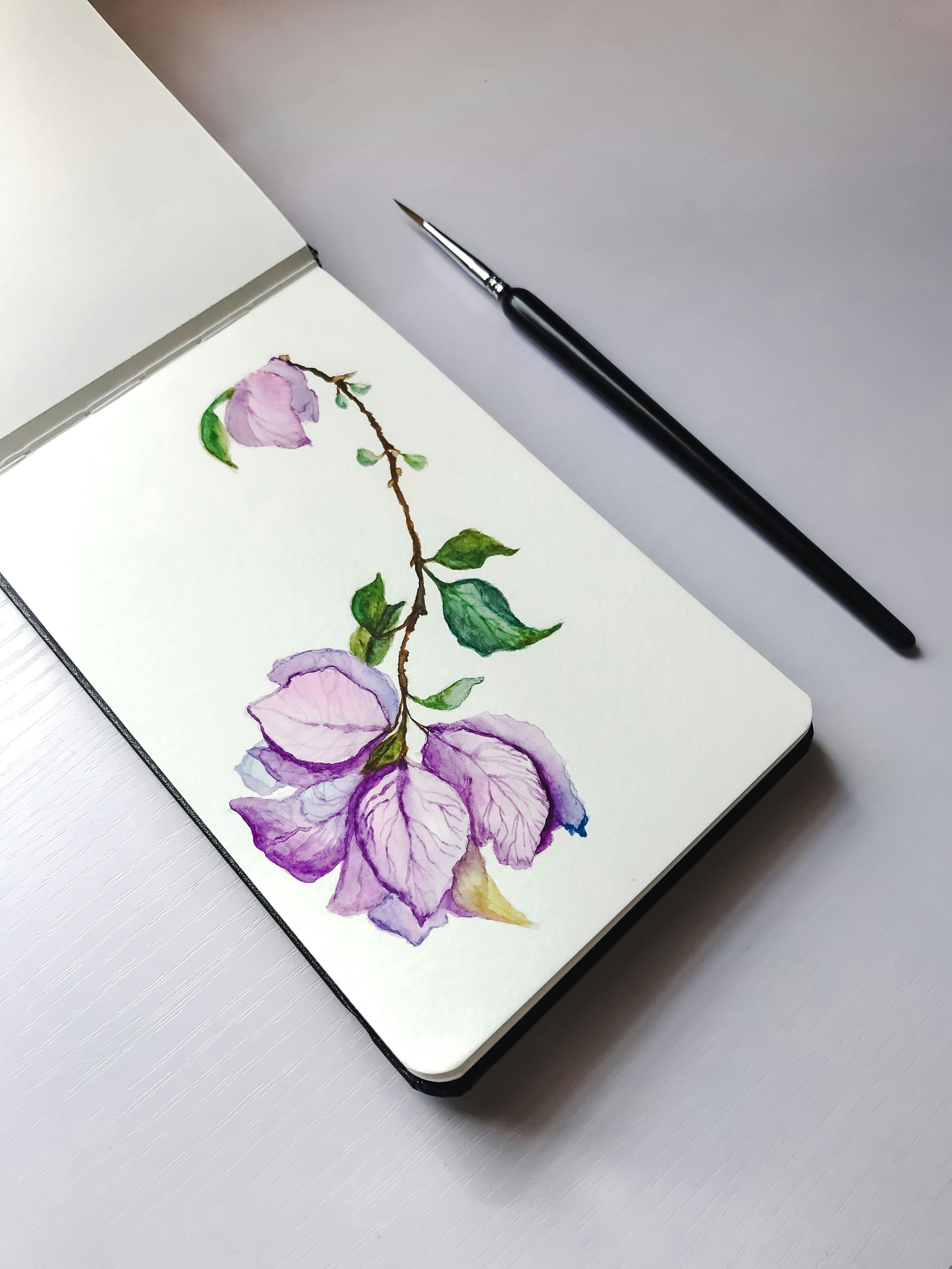 How To Draw Purple Flower Photos, Download The BEST Free How To Draw ...