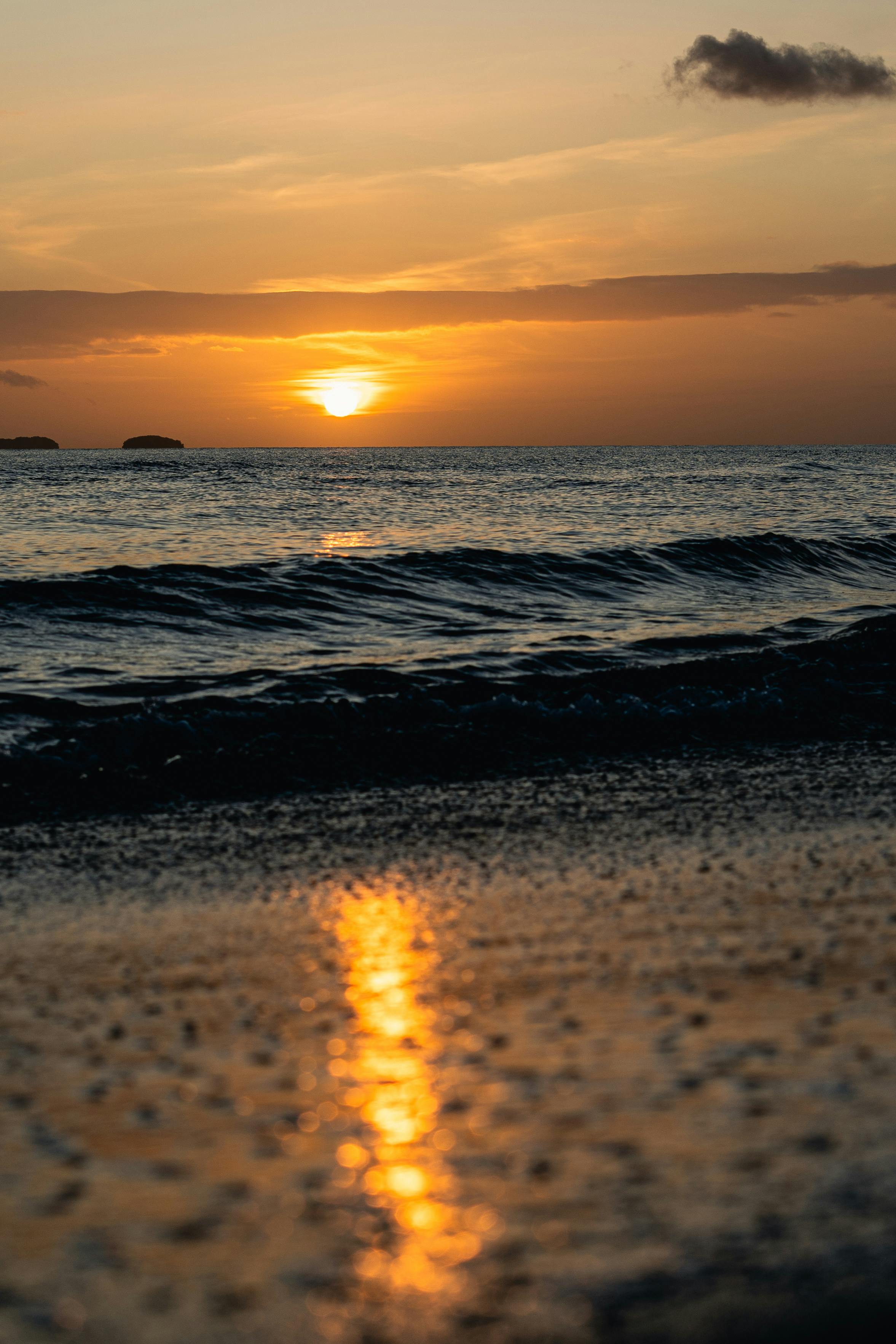 Nature Pic Photos, Download The BEST Free Nature Pic Stock Photos & HD ...