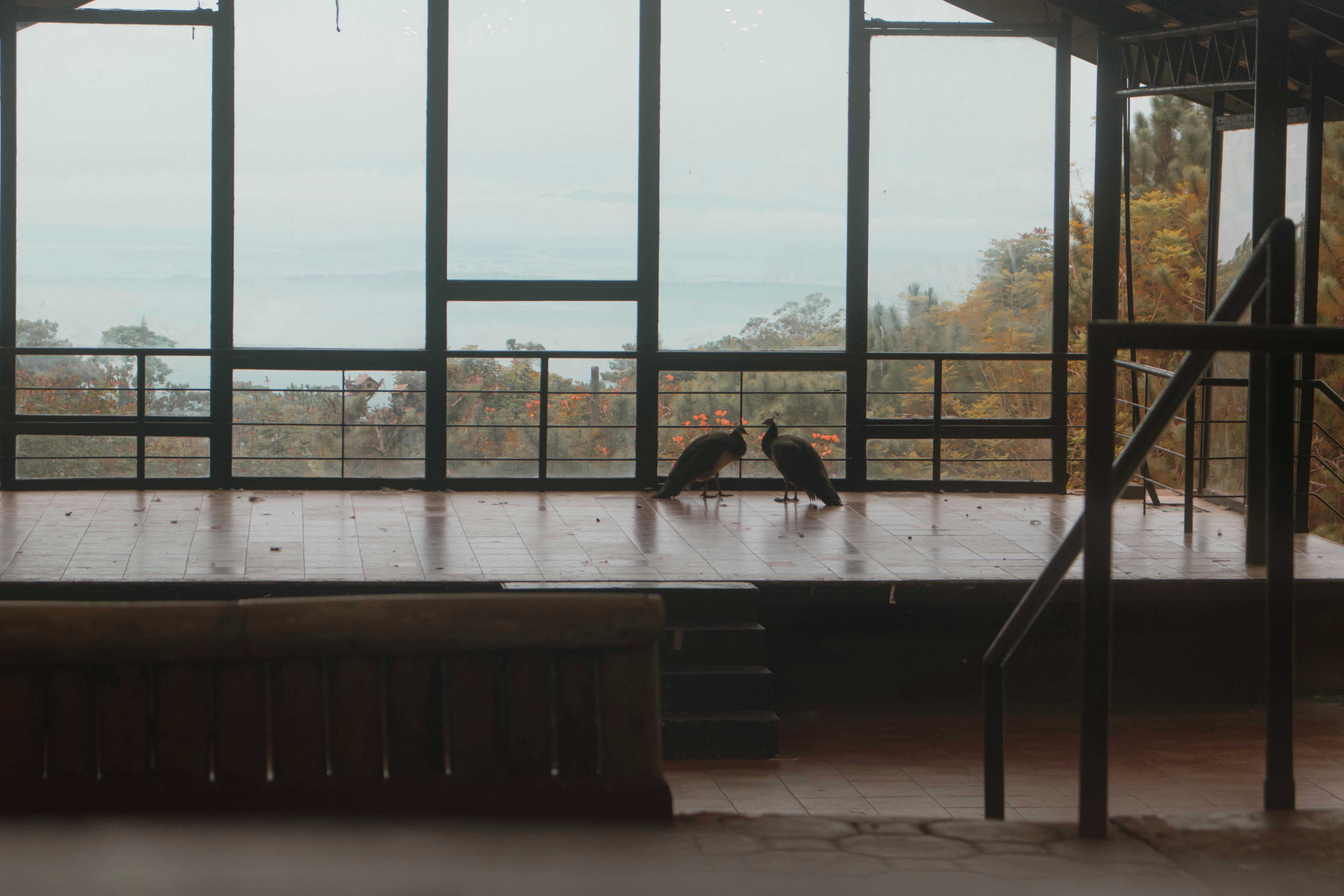 Sunbae Legacy - Fotografía