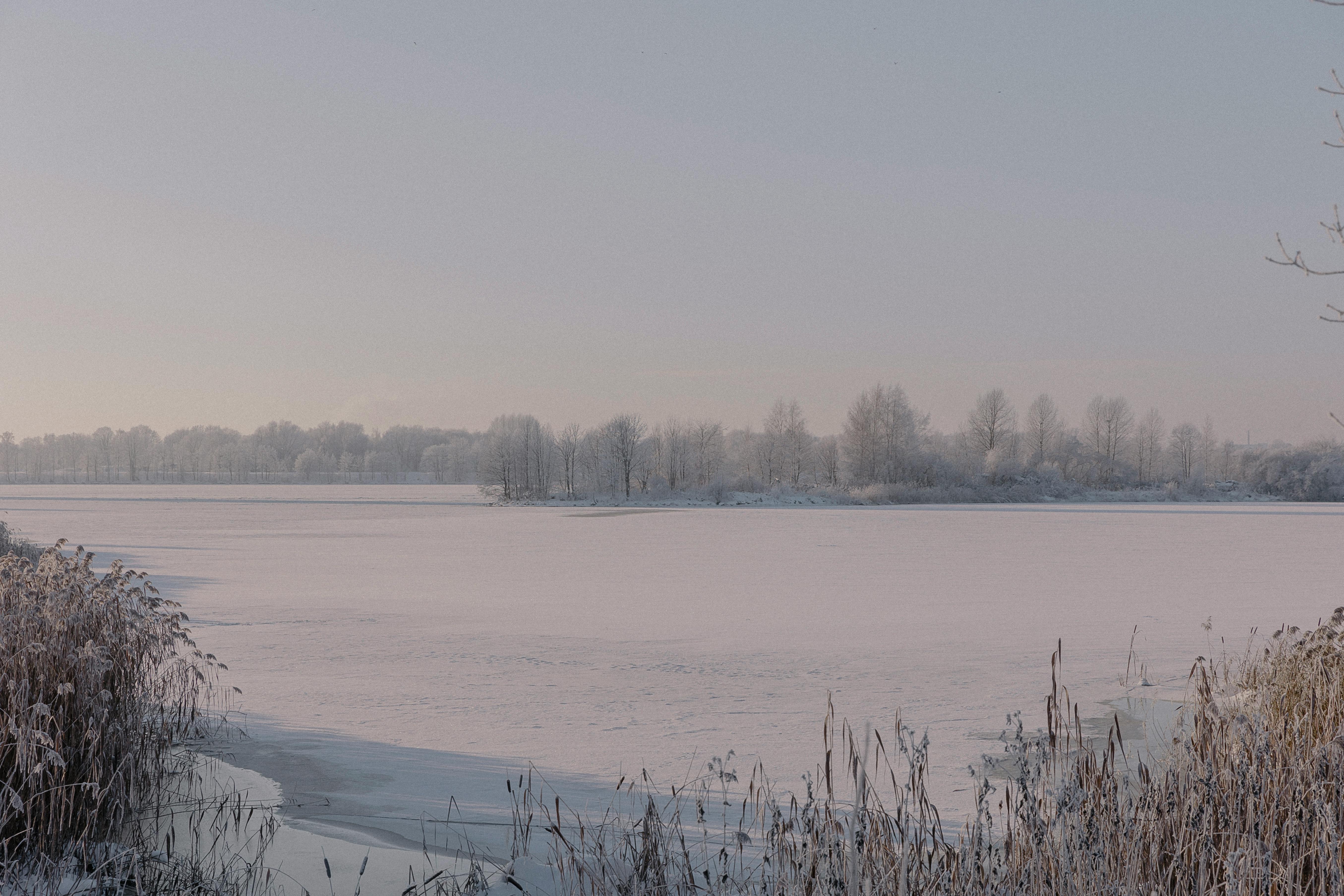 Ice Breaking Photos, Download The BEST Free Ice Breaking Stock Photos ...