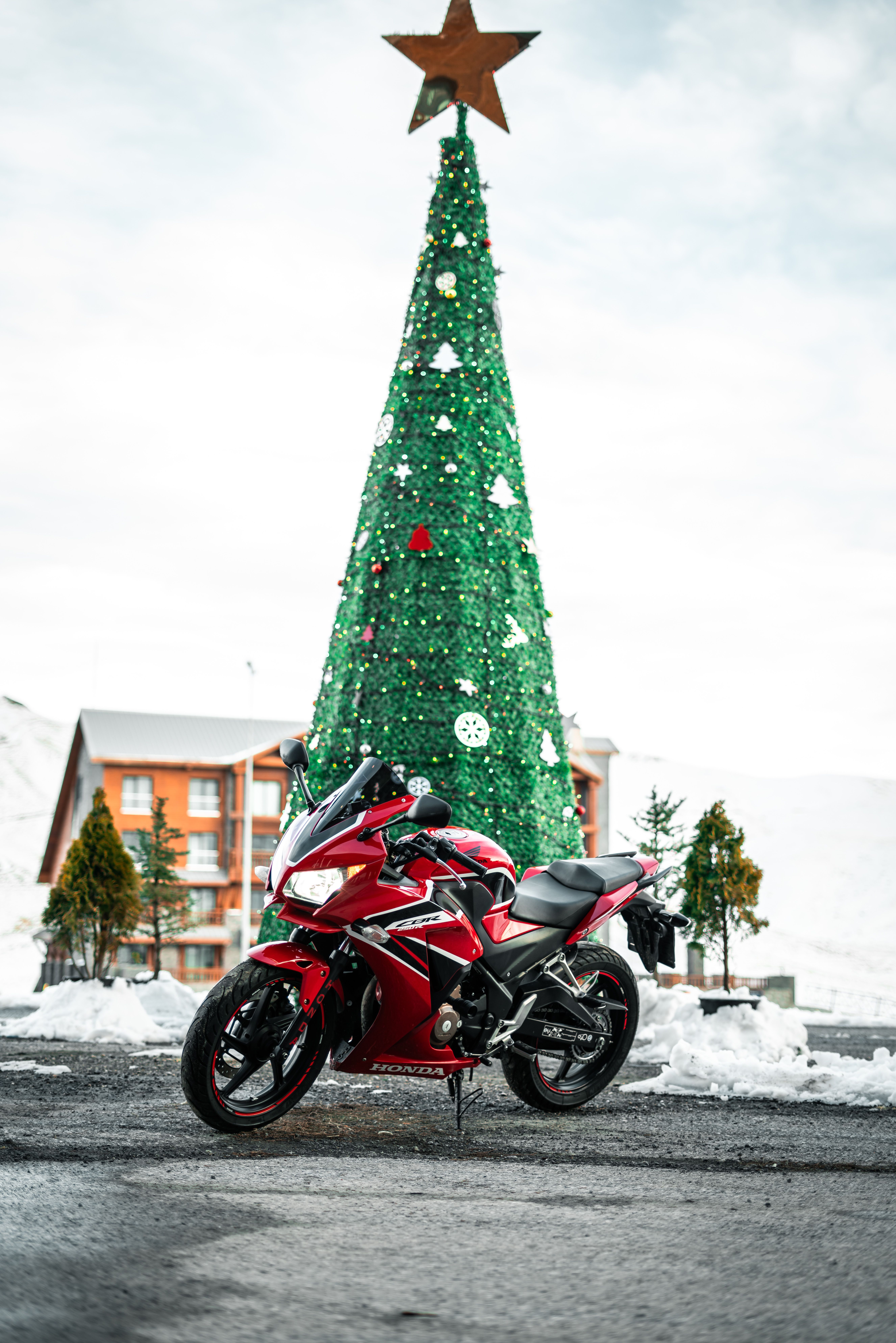 Motorcycle and a Christmas Tree · Free Stock Photo
