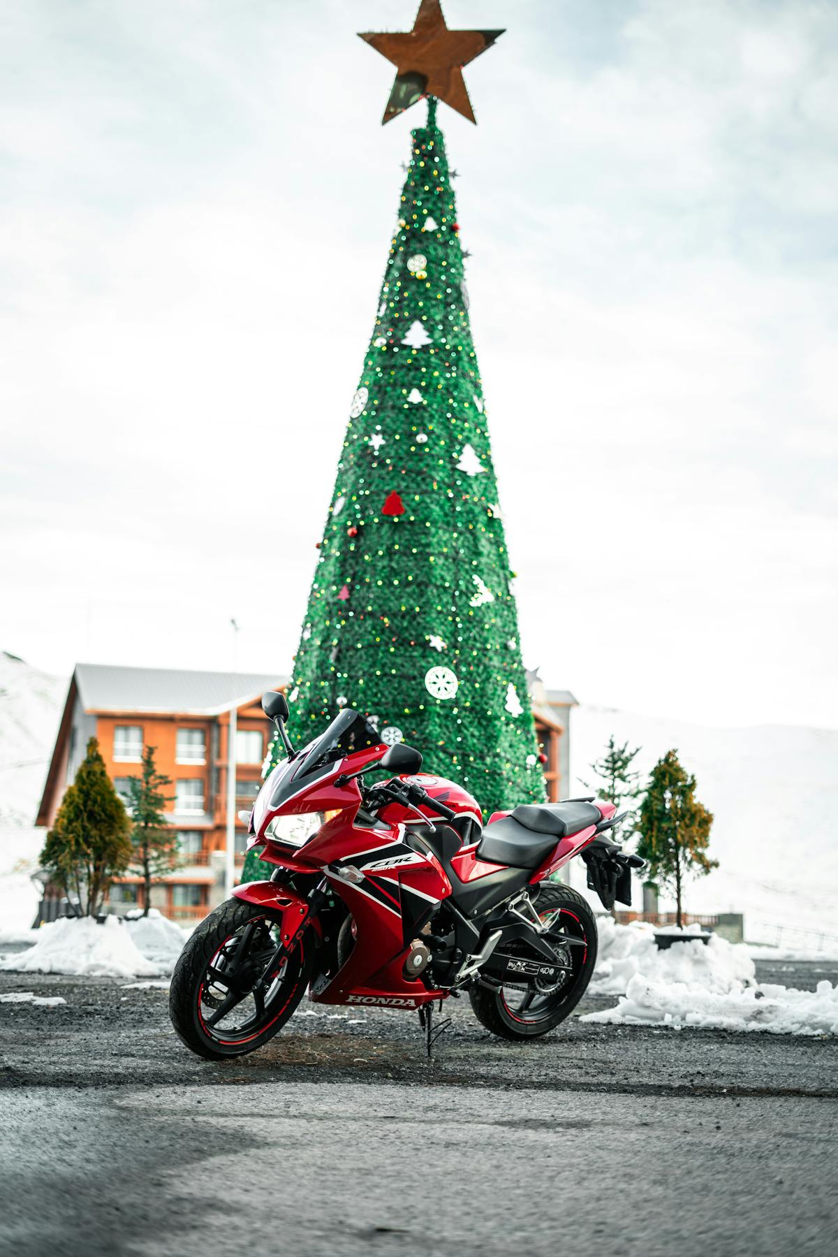 Christmas Motorcycle Photos, Download The BEST Free Christmas ...