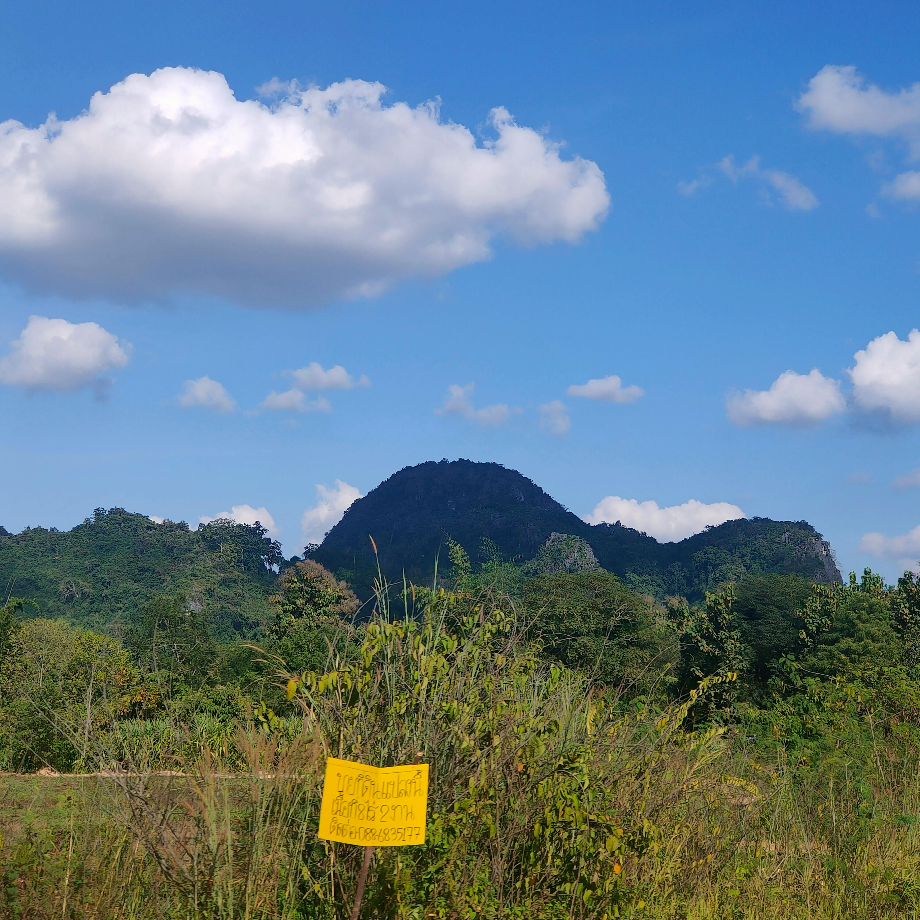 Stephen Fryer - Fotografía