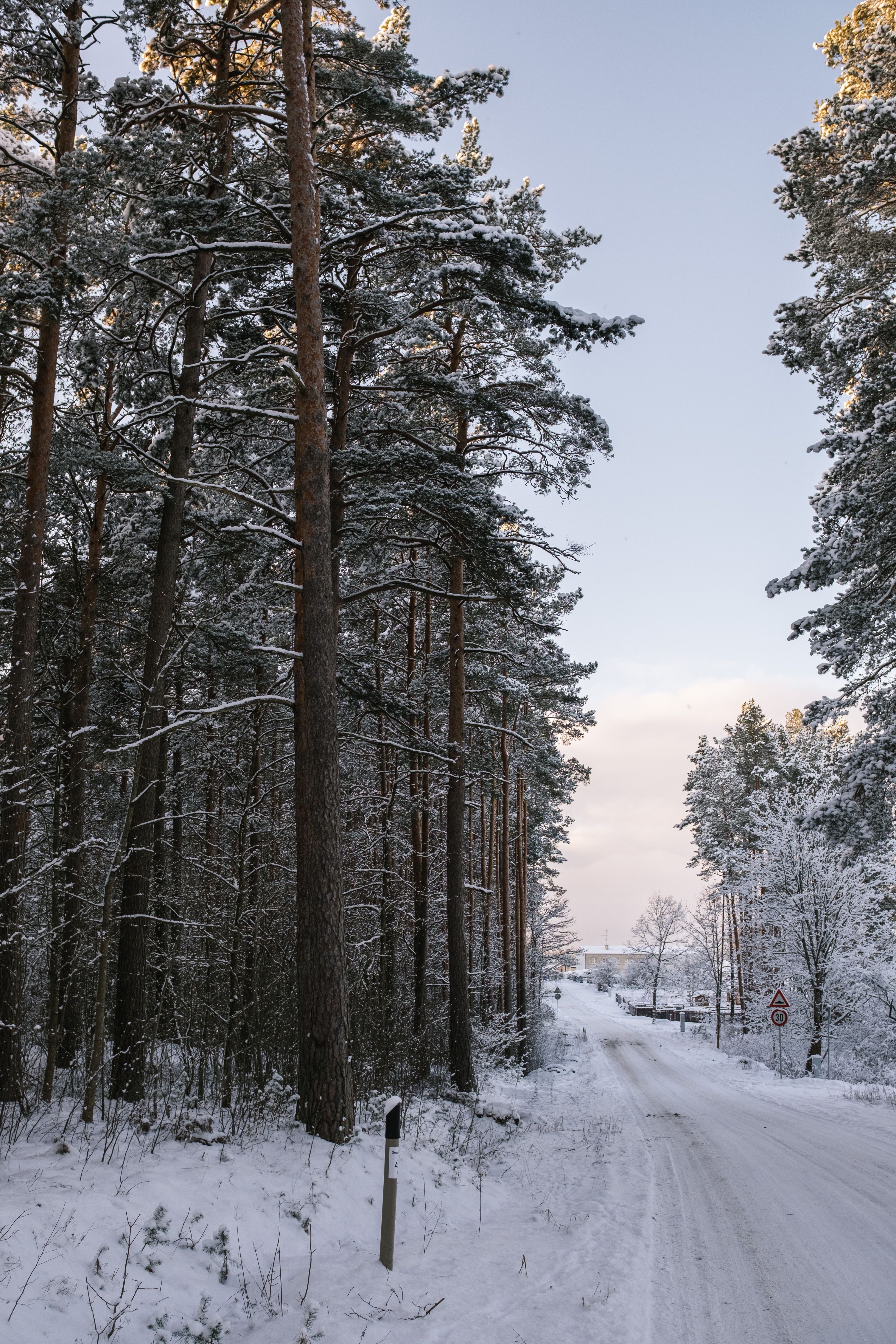 Tranquil Winter Forest Road in Riga, Latvia · Free Stock Photo