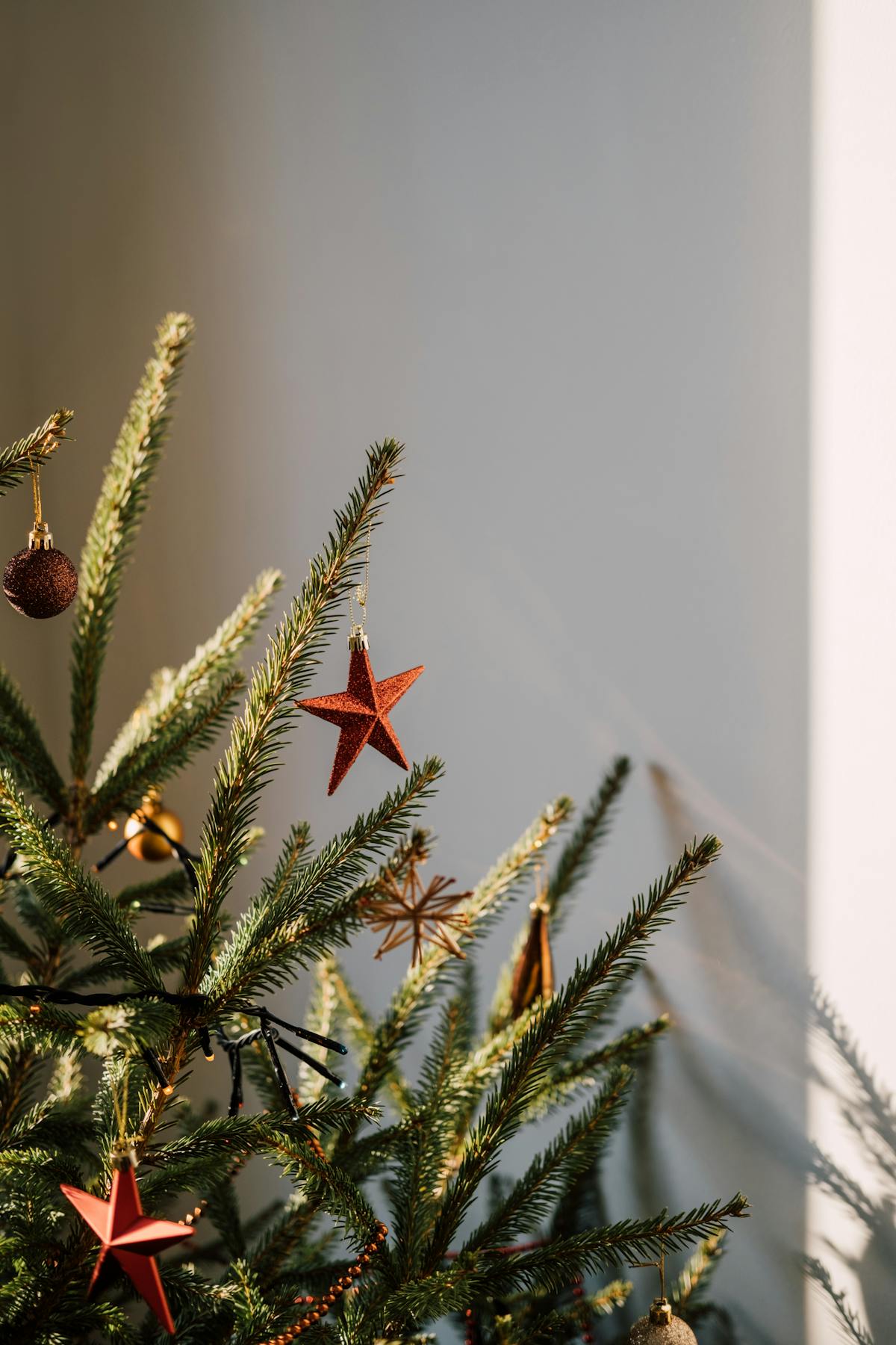 Christmas Tree Scenes Photos, Download The BEST Free Christmas Tree ...