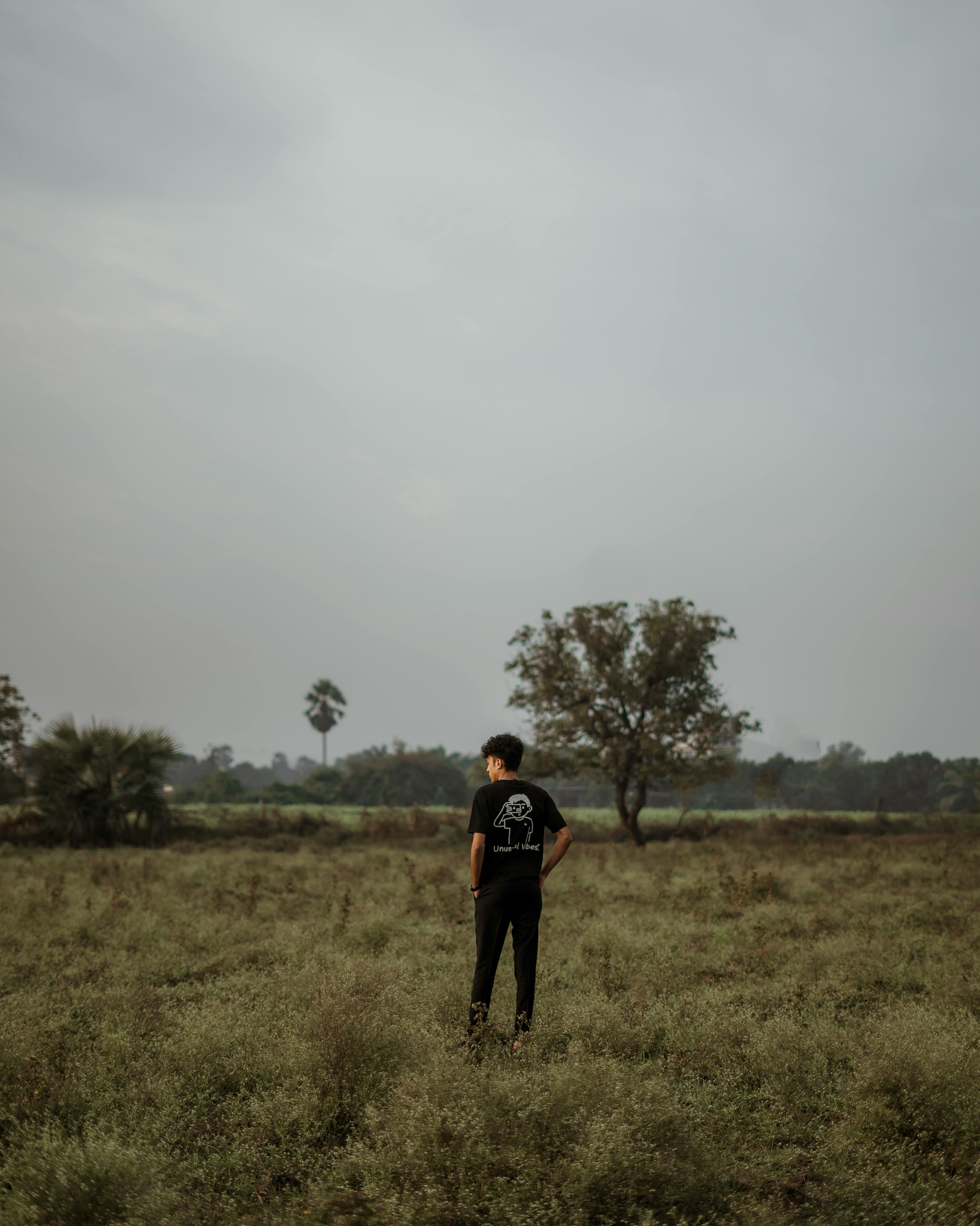 Graphic Scenery Photos, Download The BEST Free Graphic Scenery Stock ...