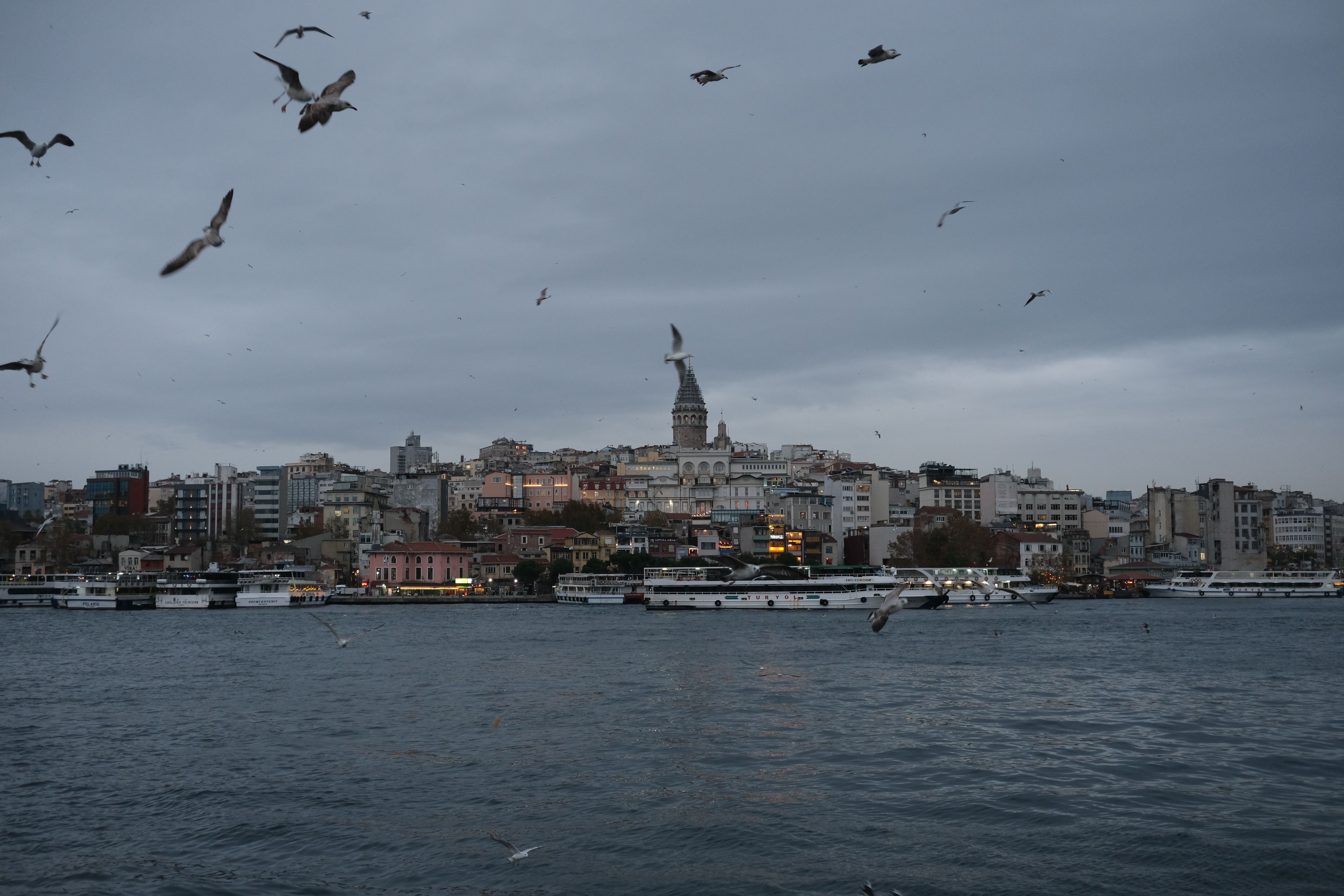 Ferries in Istanbuls Harbor on the Golden Horn with the Galata Tower ...