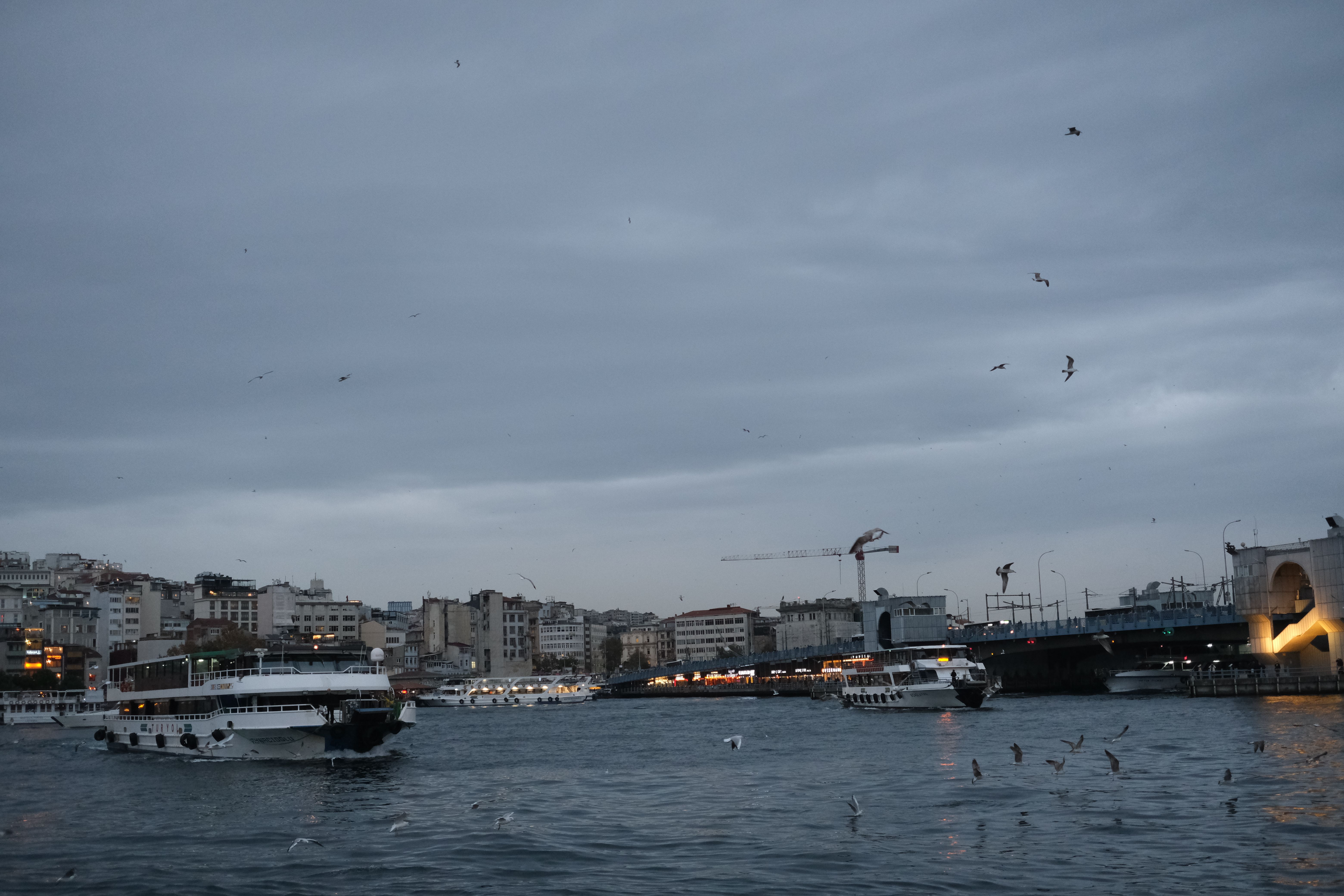 Ferries on Golden Horn Estuary by the Galata Bridge in Istanbul · Free ...