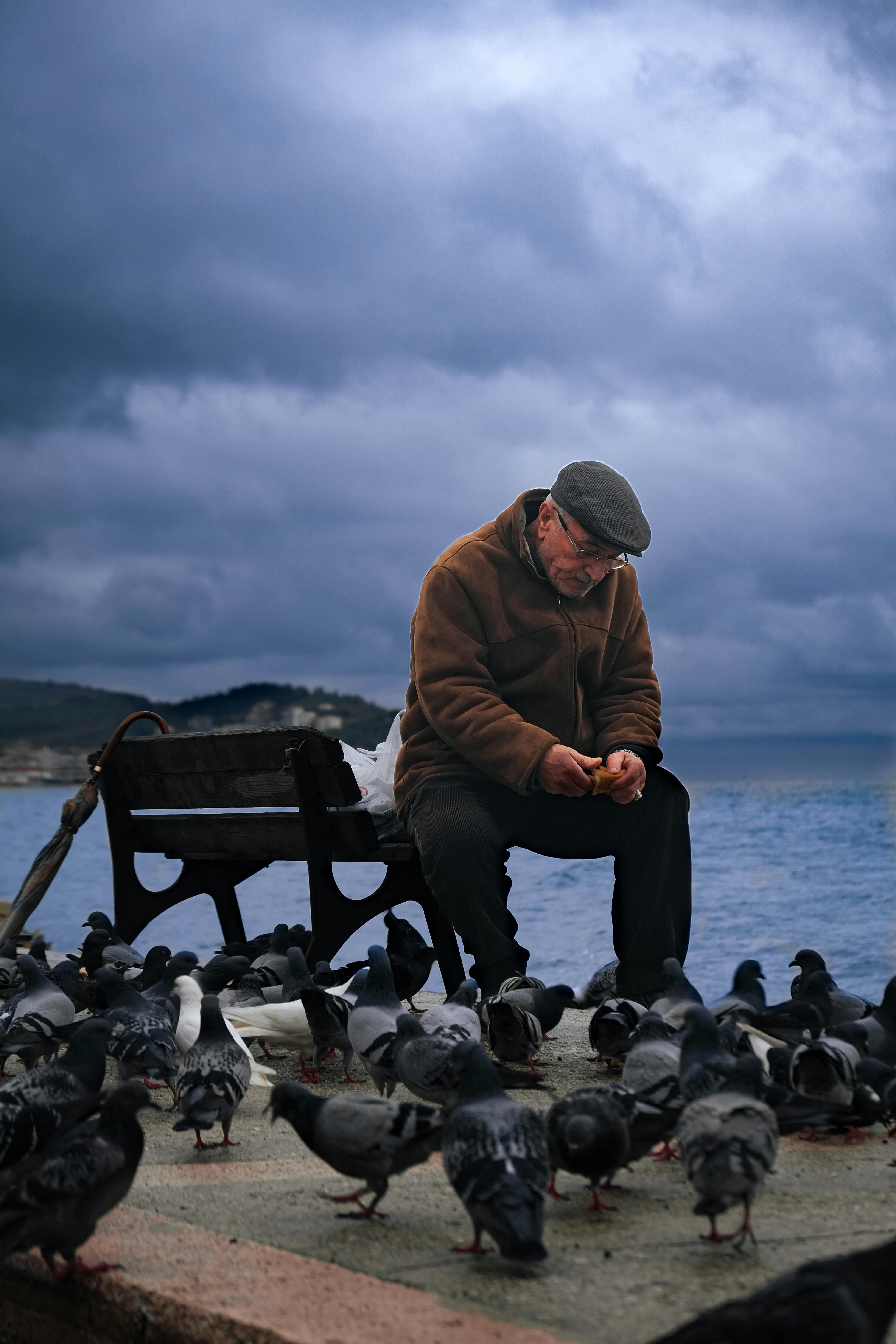 Stockphoto Photos, Download The BEST Free Stockphoto Stock Photos & HD ...