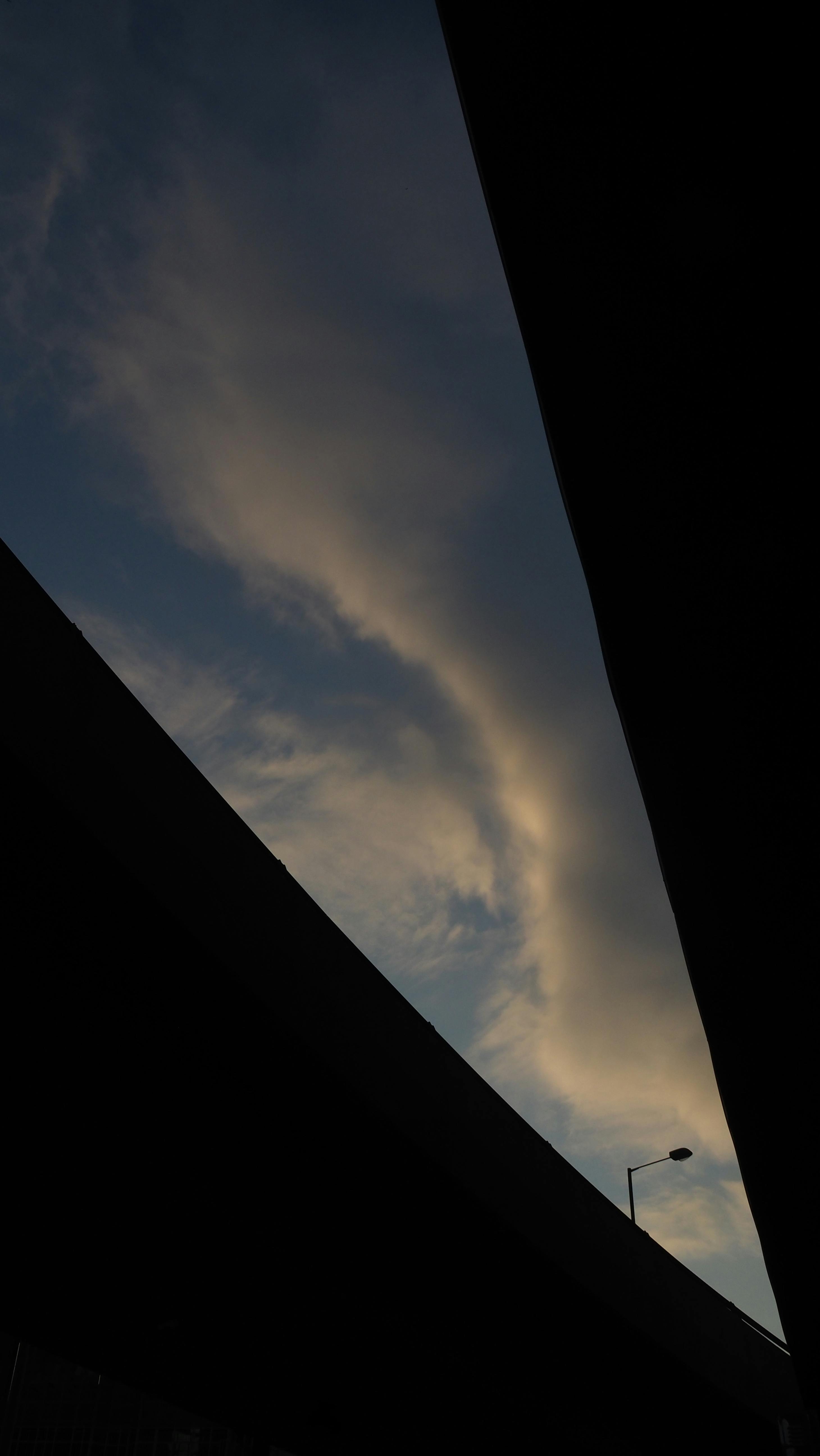 terry narcissan tsui - Photography