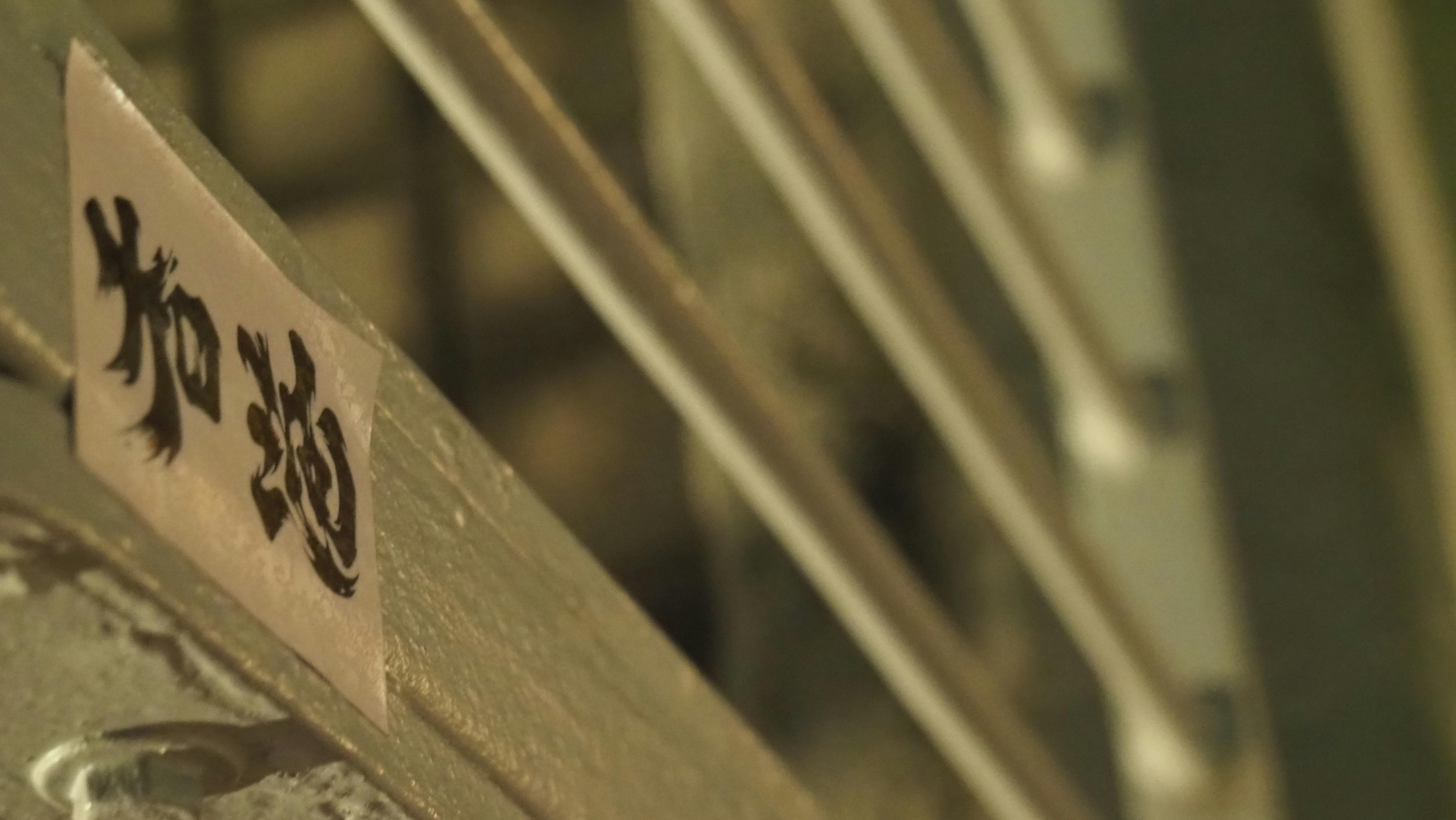 terry narcissan tsui - Photography