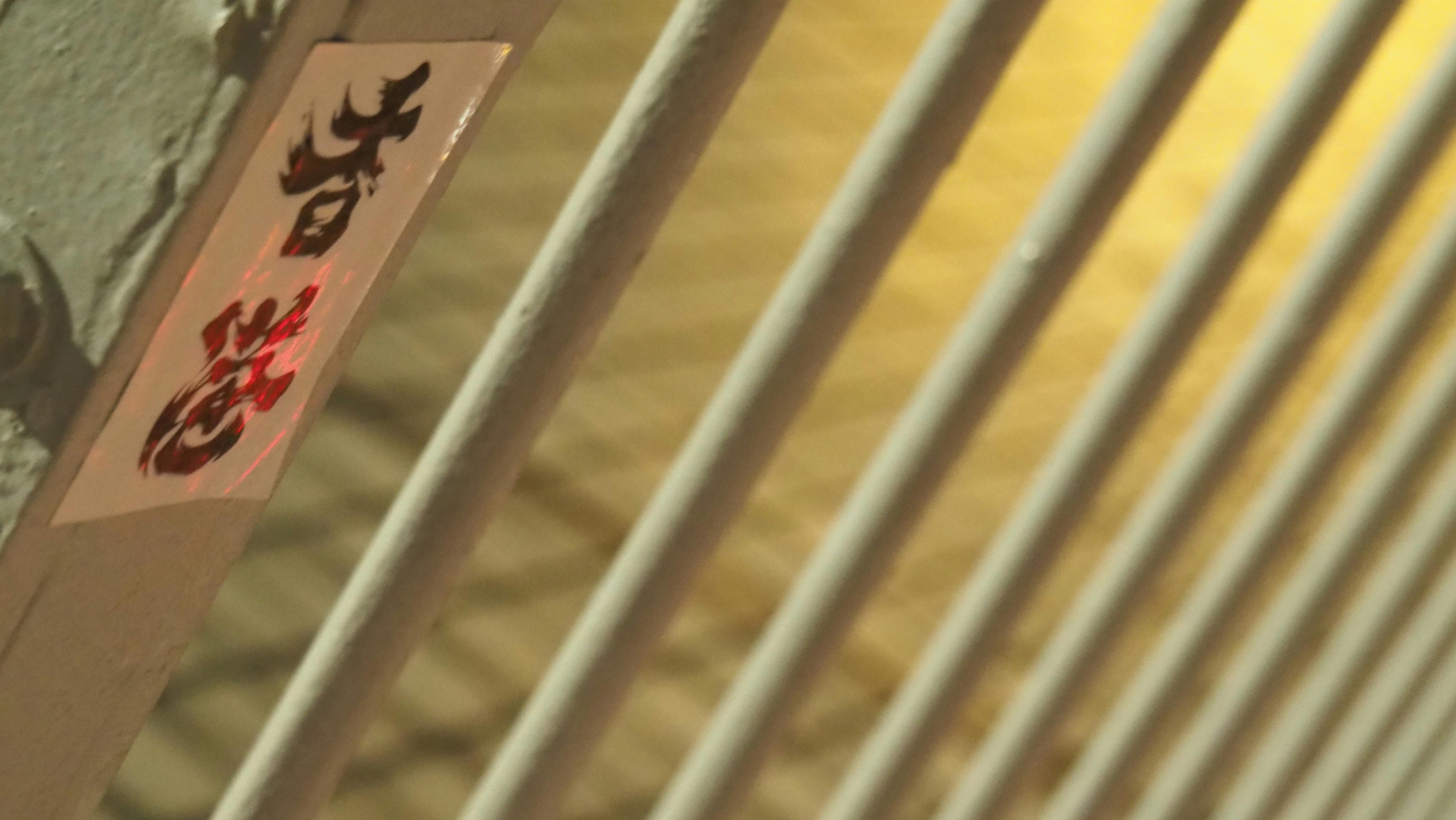 terry narcissan tsui - Photography