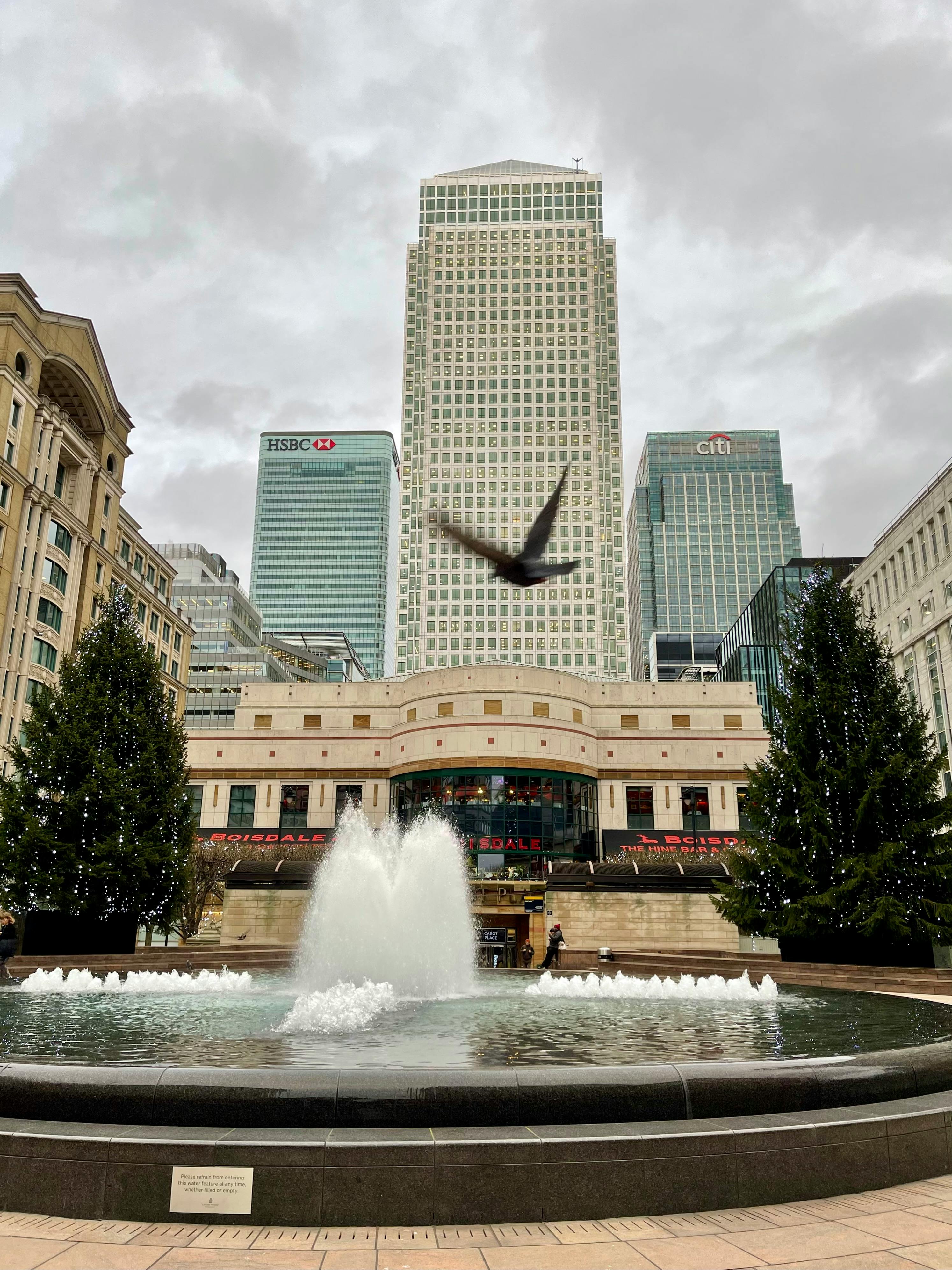 Pigeon Flying Over the Cabot Square Fountain in Front of the One Canada ...
