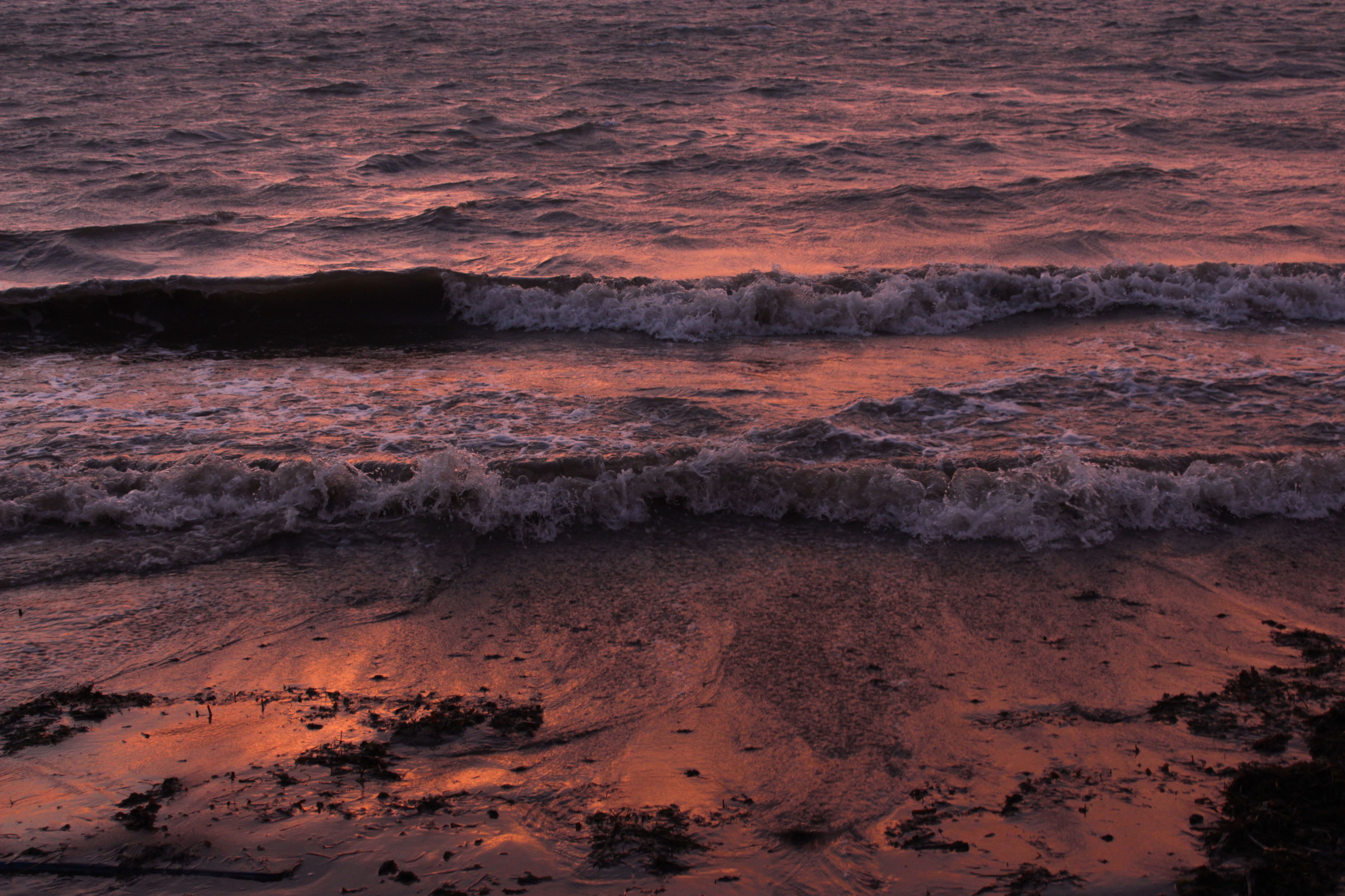 Wavy Sea and Beach Landscape · Free Stock Photo