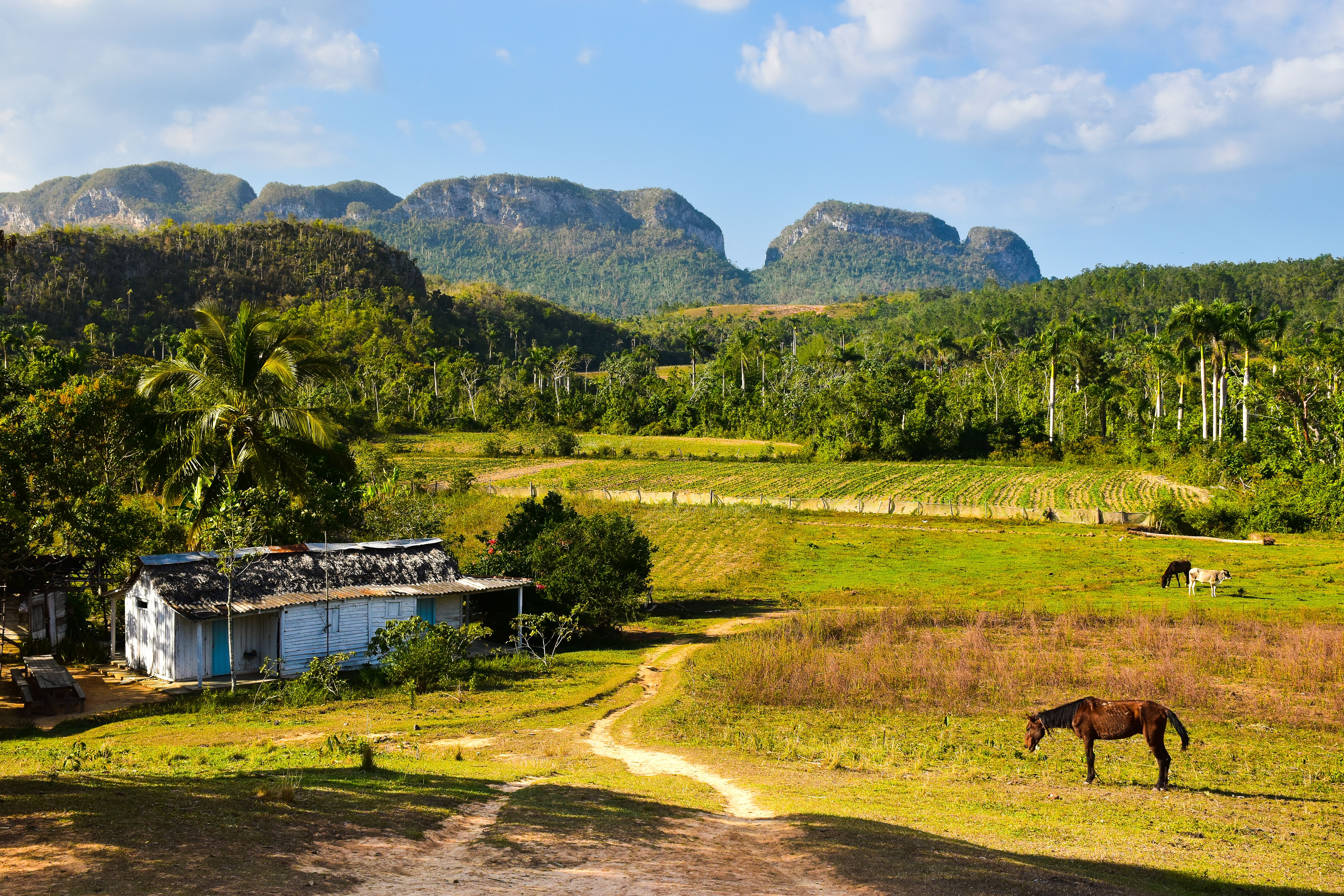 A Rural Landscape · Free Stock Photo