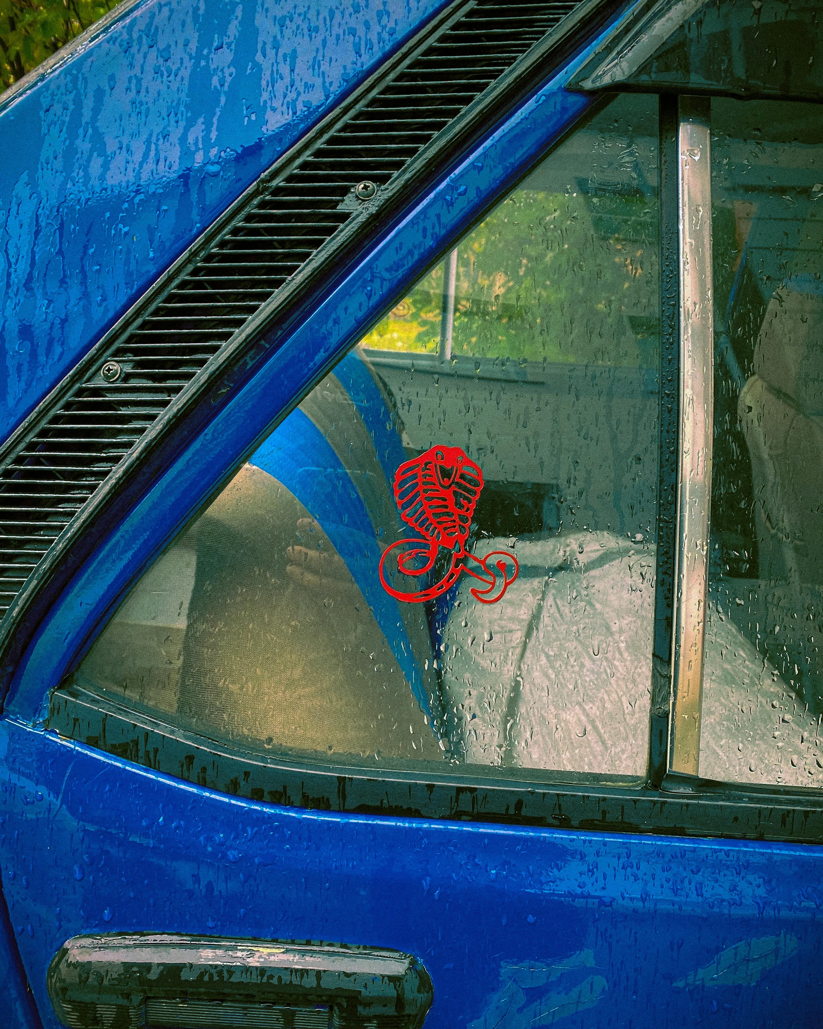 Cobra Sticker on Car Window · Free Stock Photo