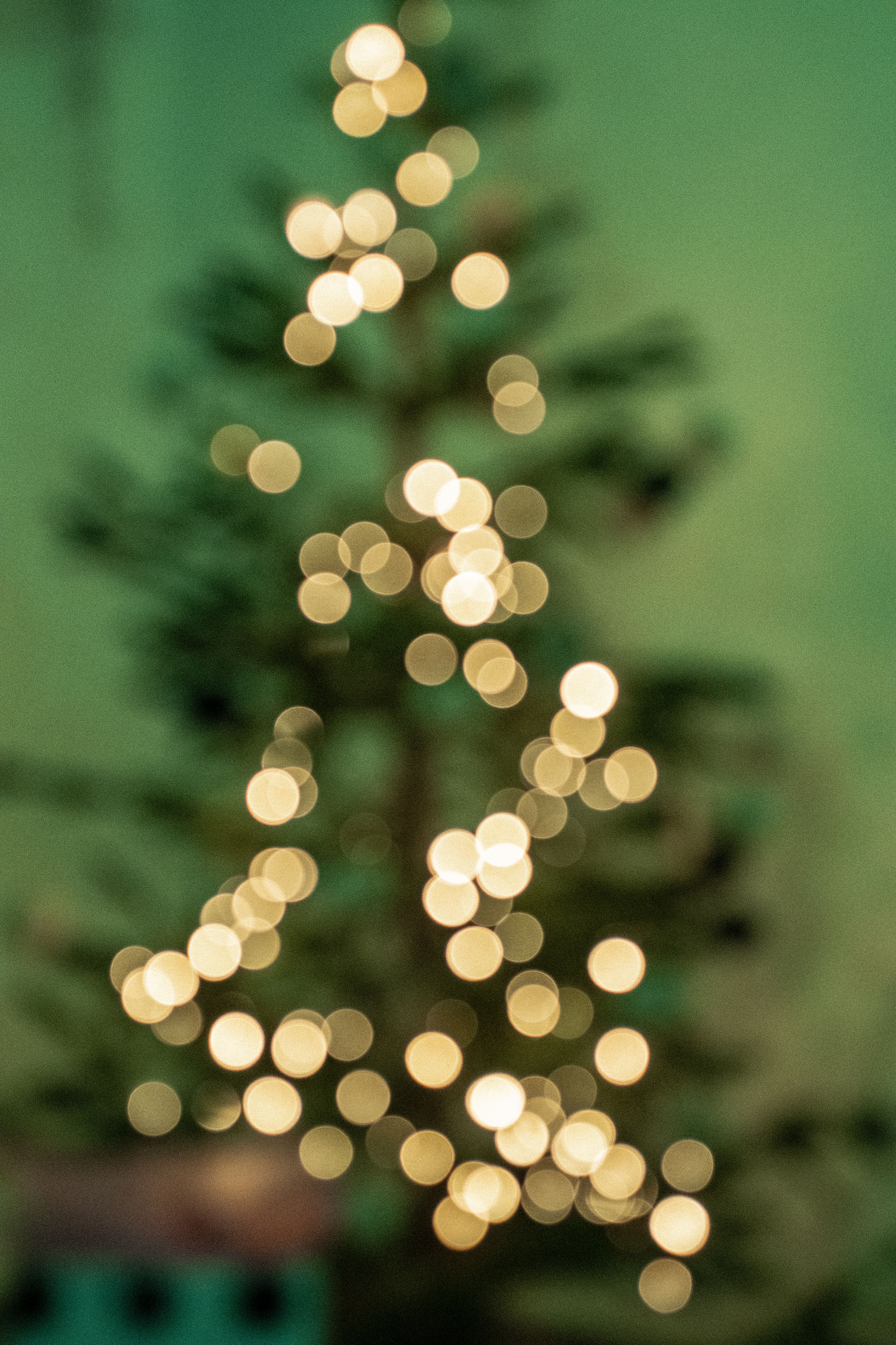 Blurry Christmas Lights on Black Background · Free Stock Photo