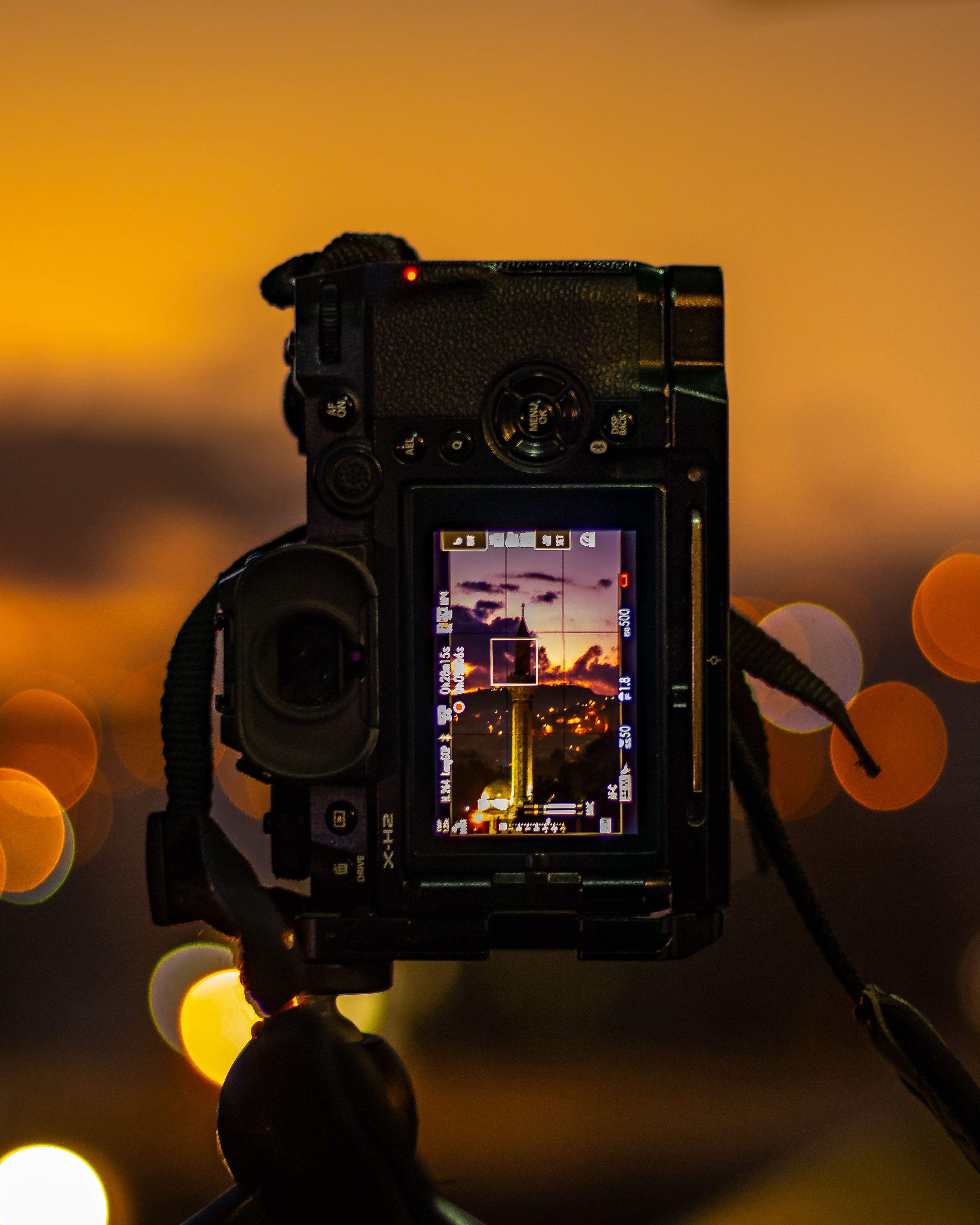 Landschap Screen Photos, Download The BEST Free Landschap Screen Stock ...