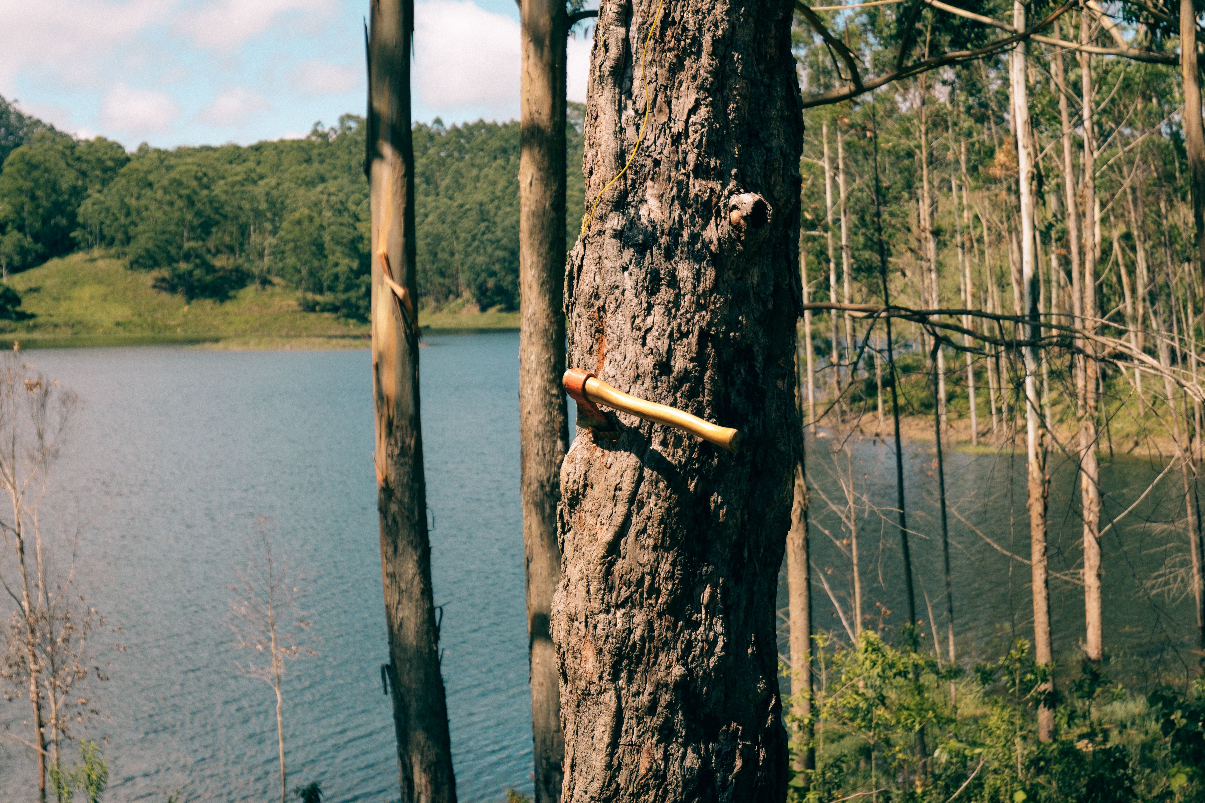 Hatchet Photos, Download The BEST Free Hatchet Stock Photos & HD Images