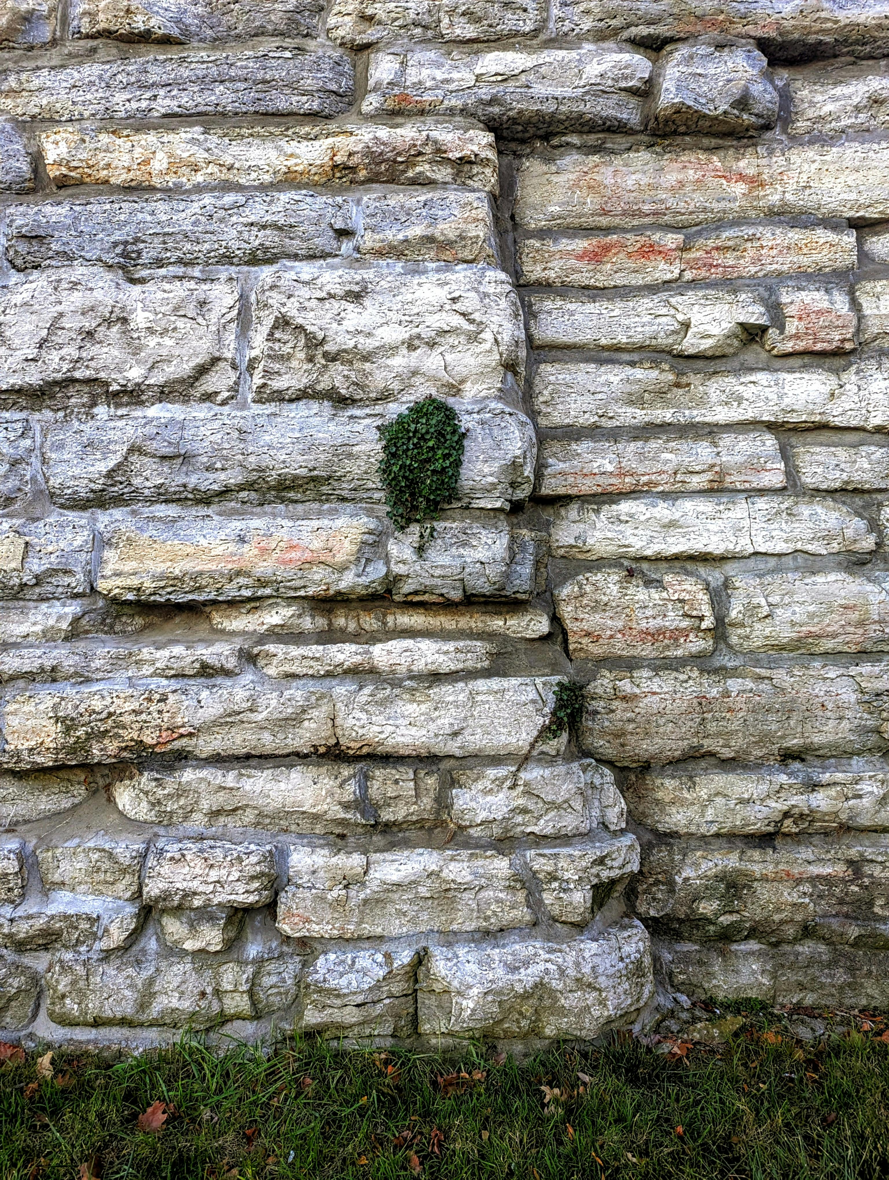 Close-up of a Stone Building Exterior · Free Stock Photo
