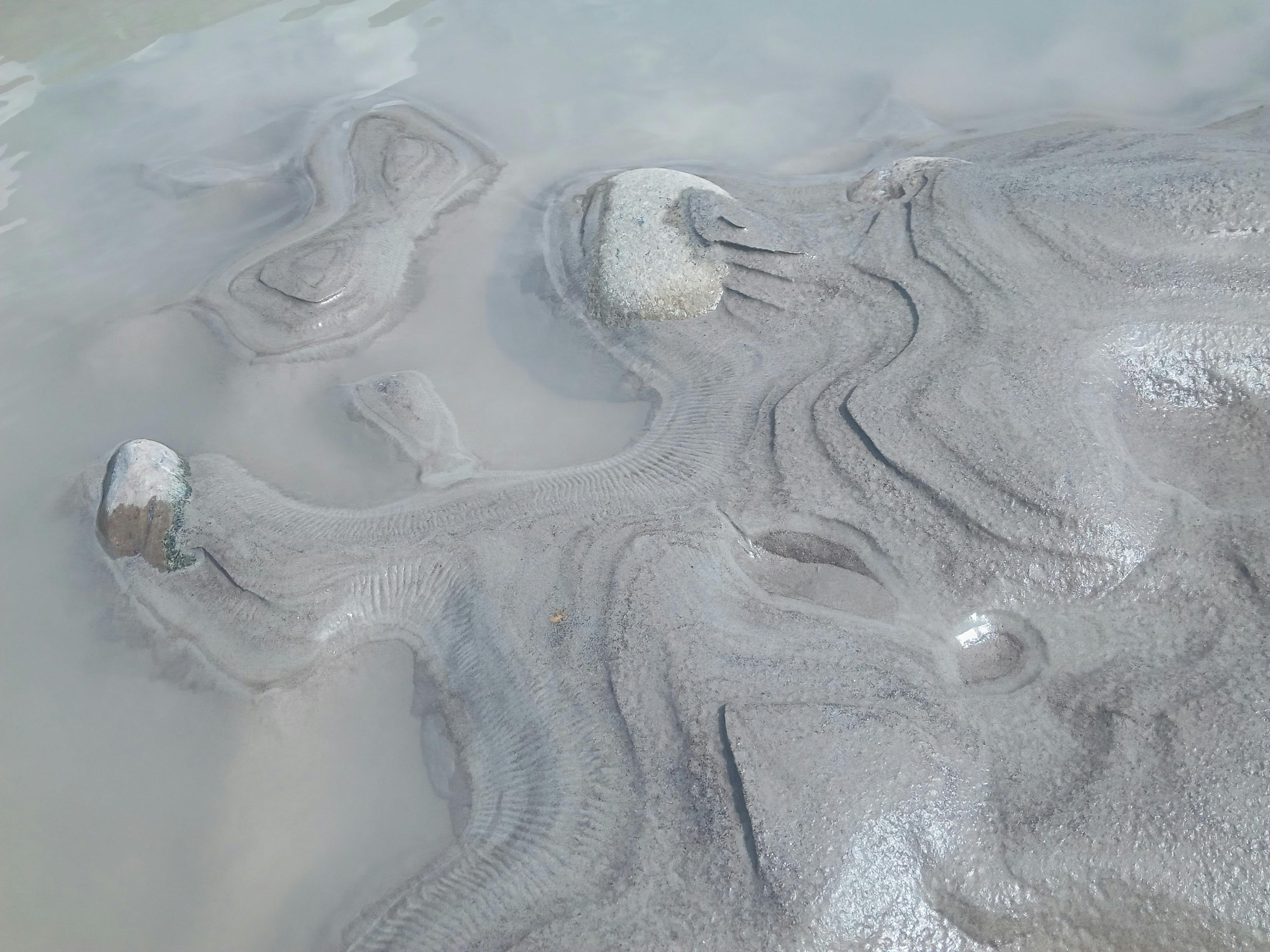 Close-up of Wet Sand on the Beach · Free Stock Photo