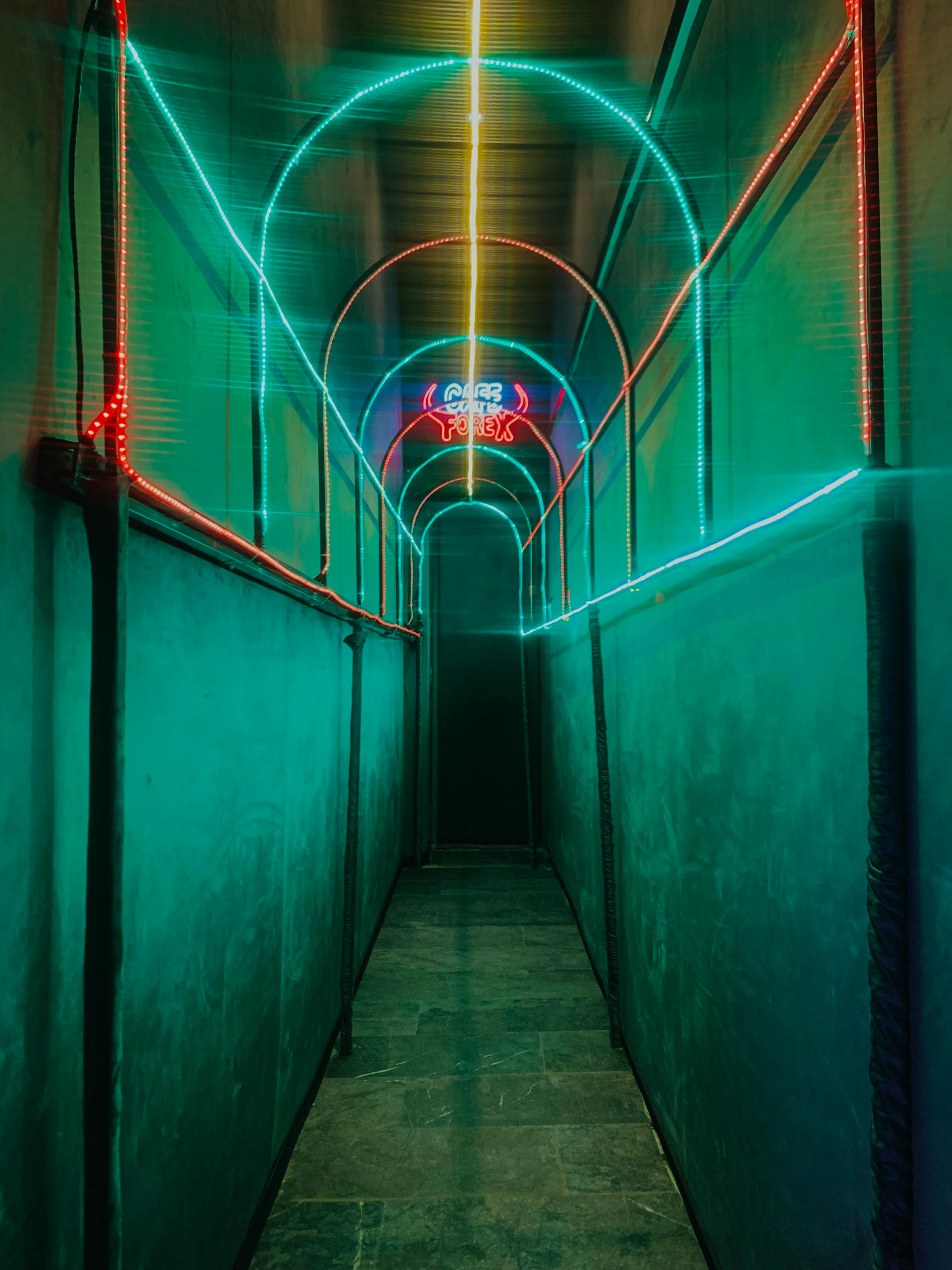A Tunnel Illuminated with Neon Lights · Free Stock Photo