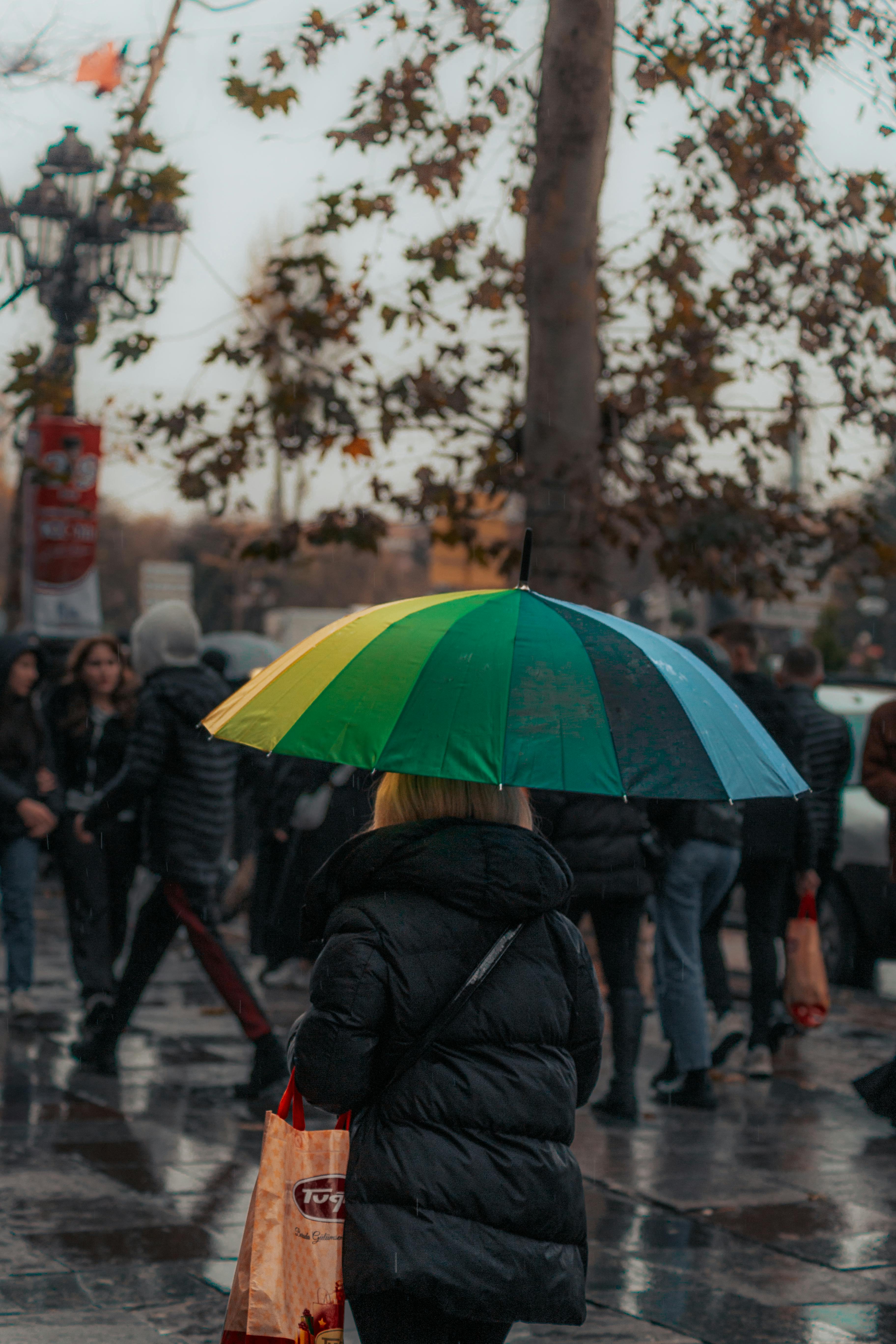 Storm Umbrella Photos, Download The BEST Free Storm Umbrella Stock ...