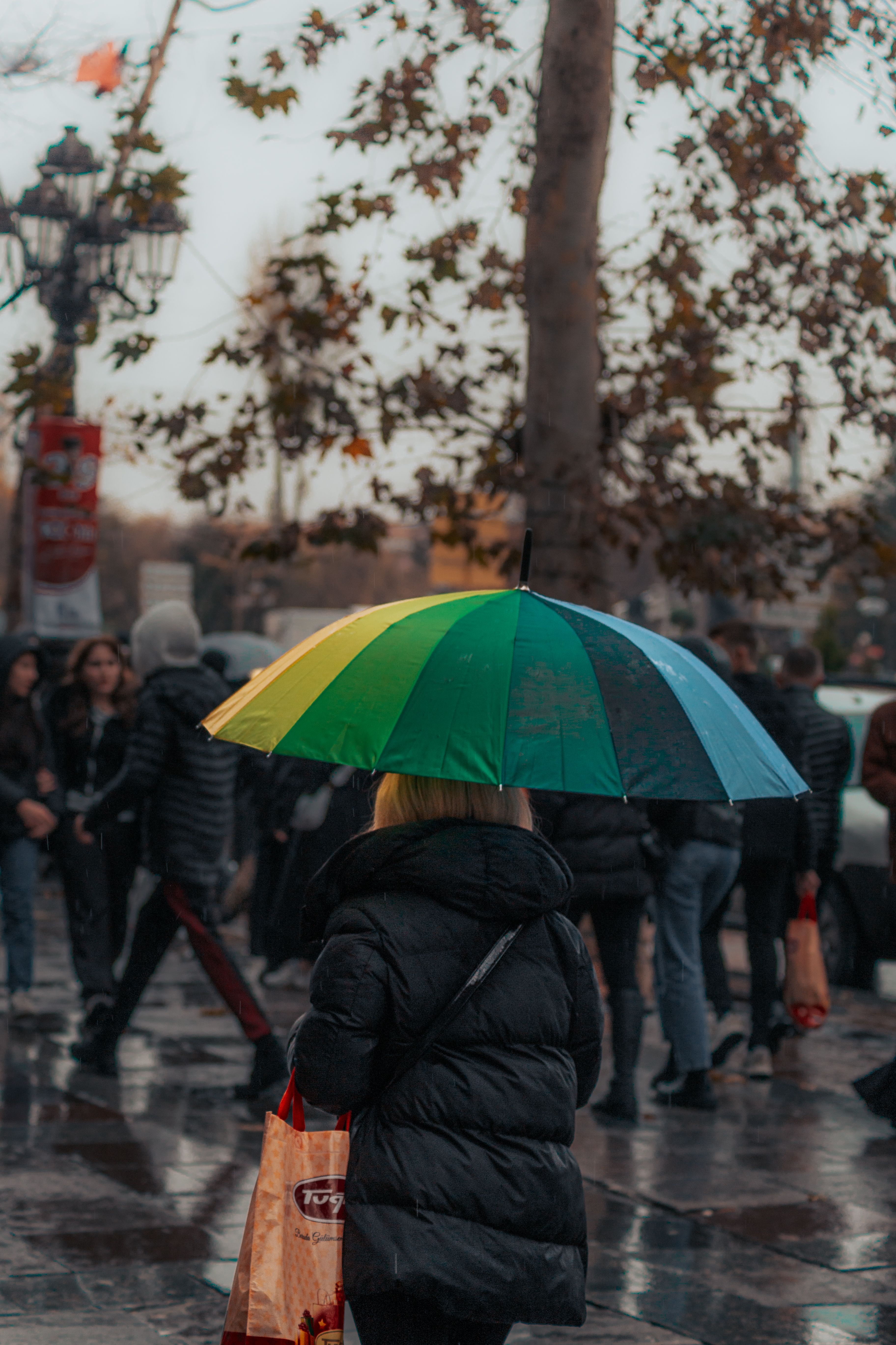 Person Under Umbrella · Free Stock Photo
