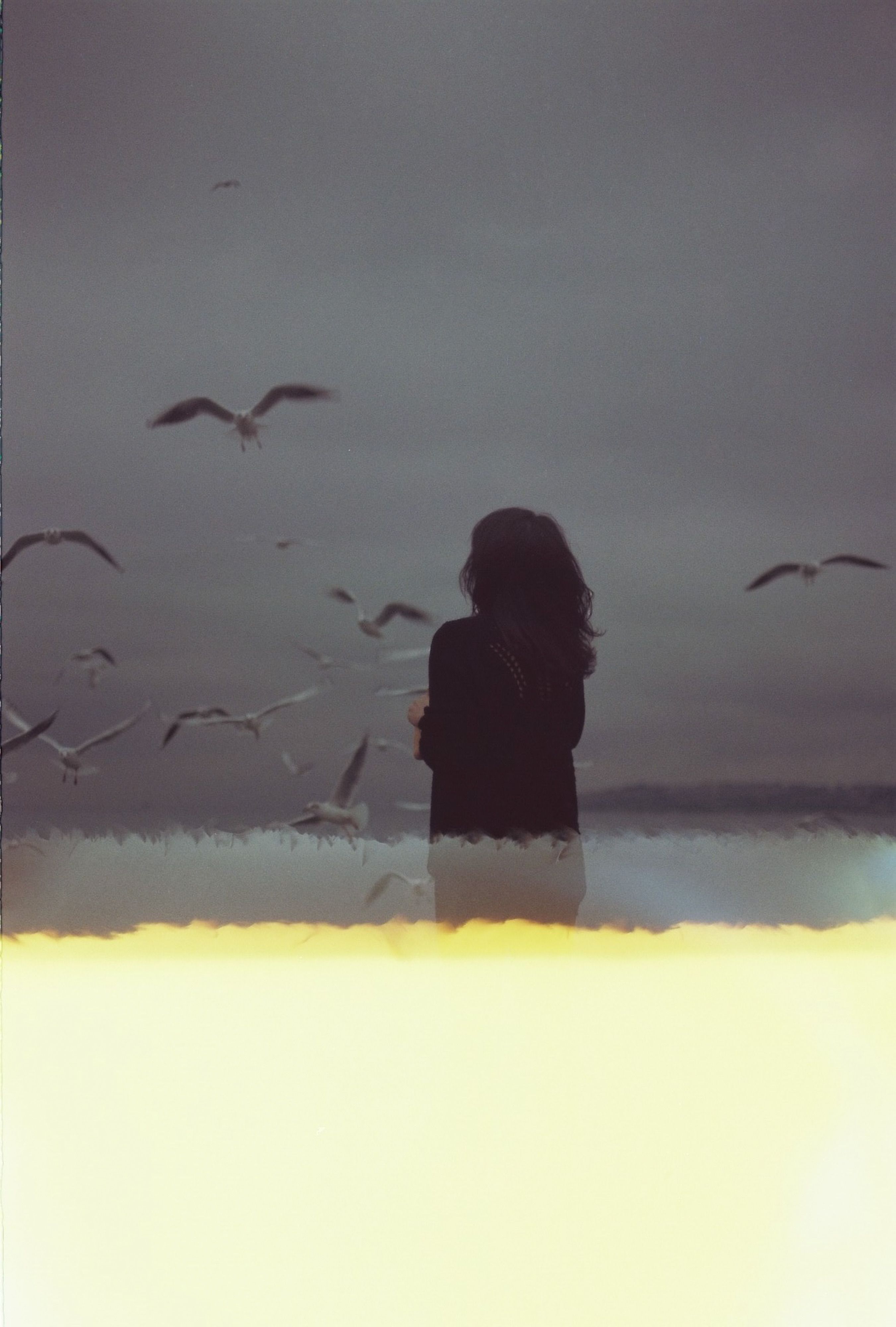 Woman Watching Birds and Landscape · Free Stock Photo