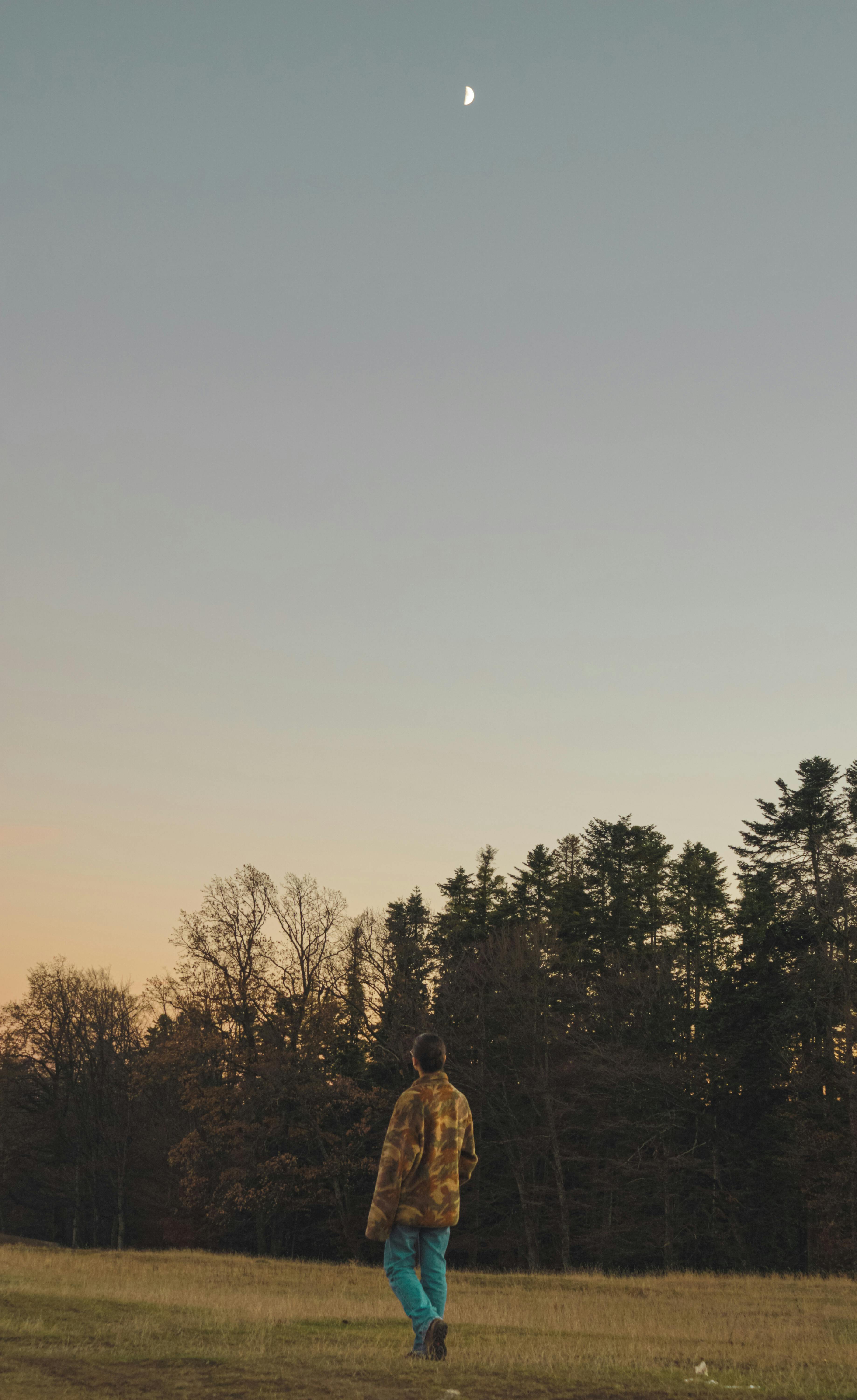 Crescent Photos, Download The BEST Free Crescent Stock Photos & HD Images