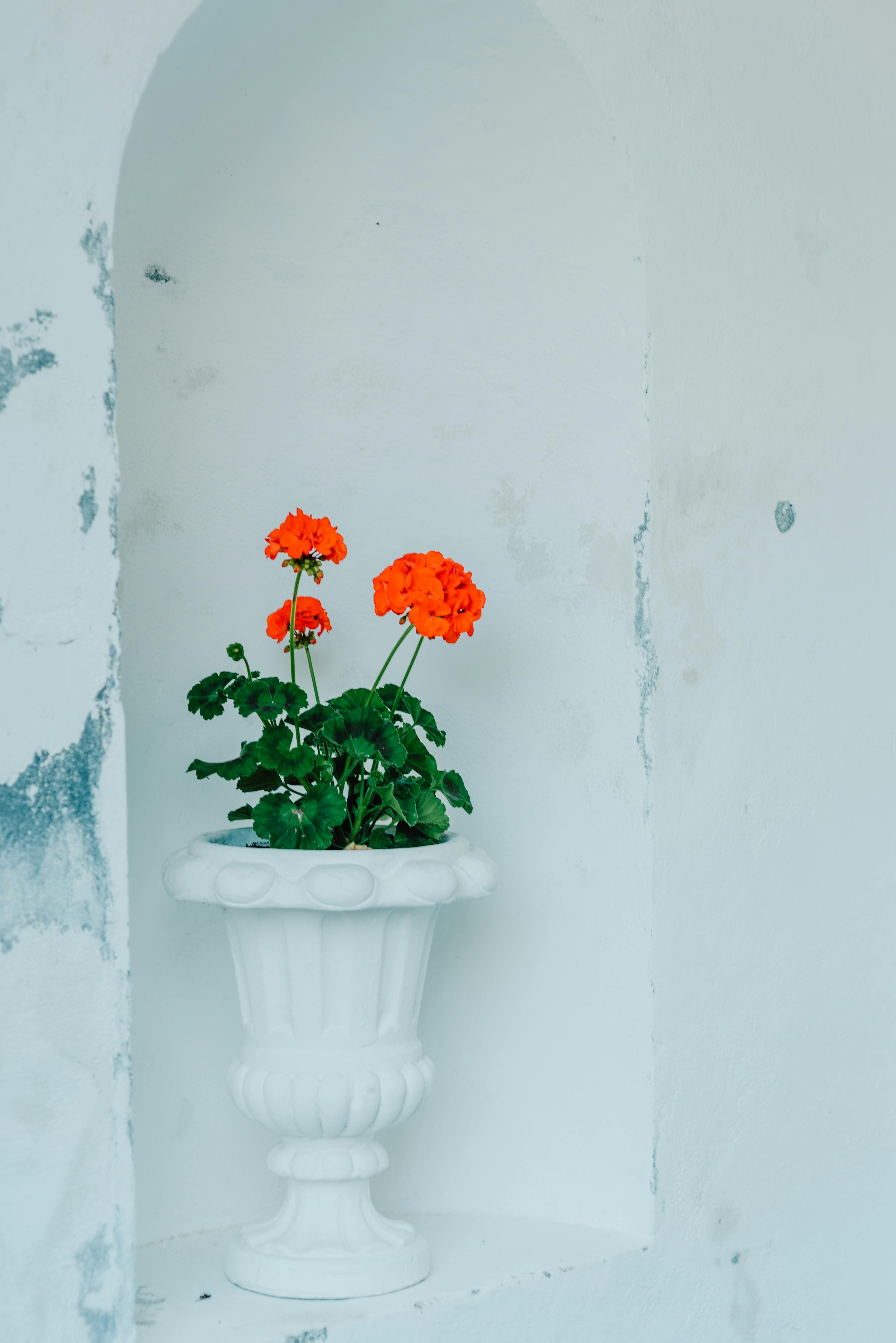 Niche Photos, Download The BEST Free Niche Stock Photos & HD Images