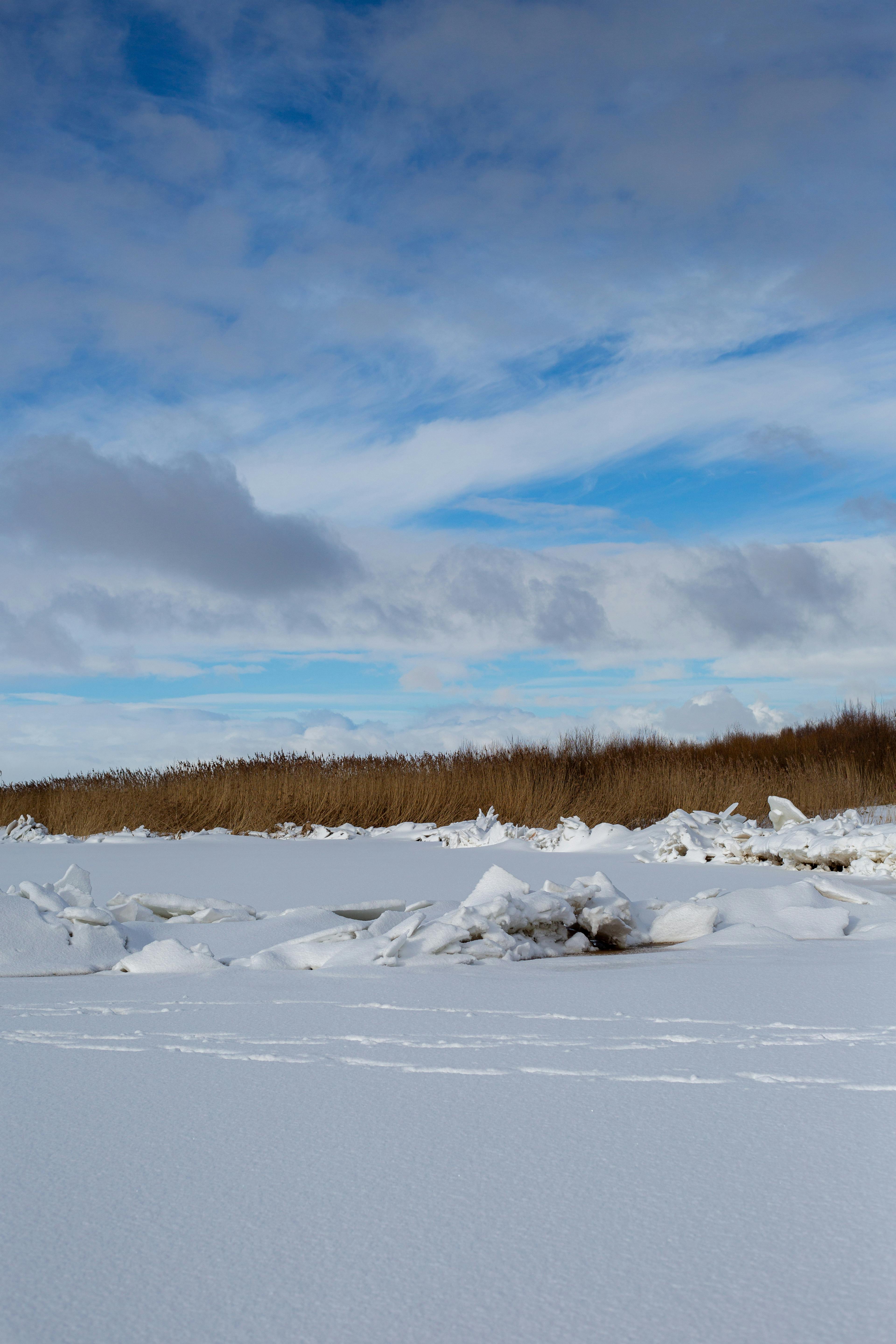 Texture of Snow · Free Stock Photo