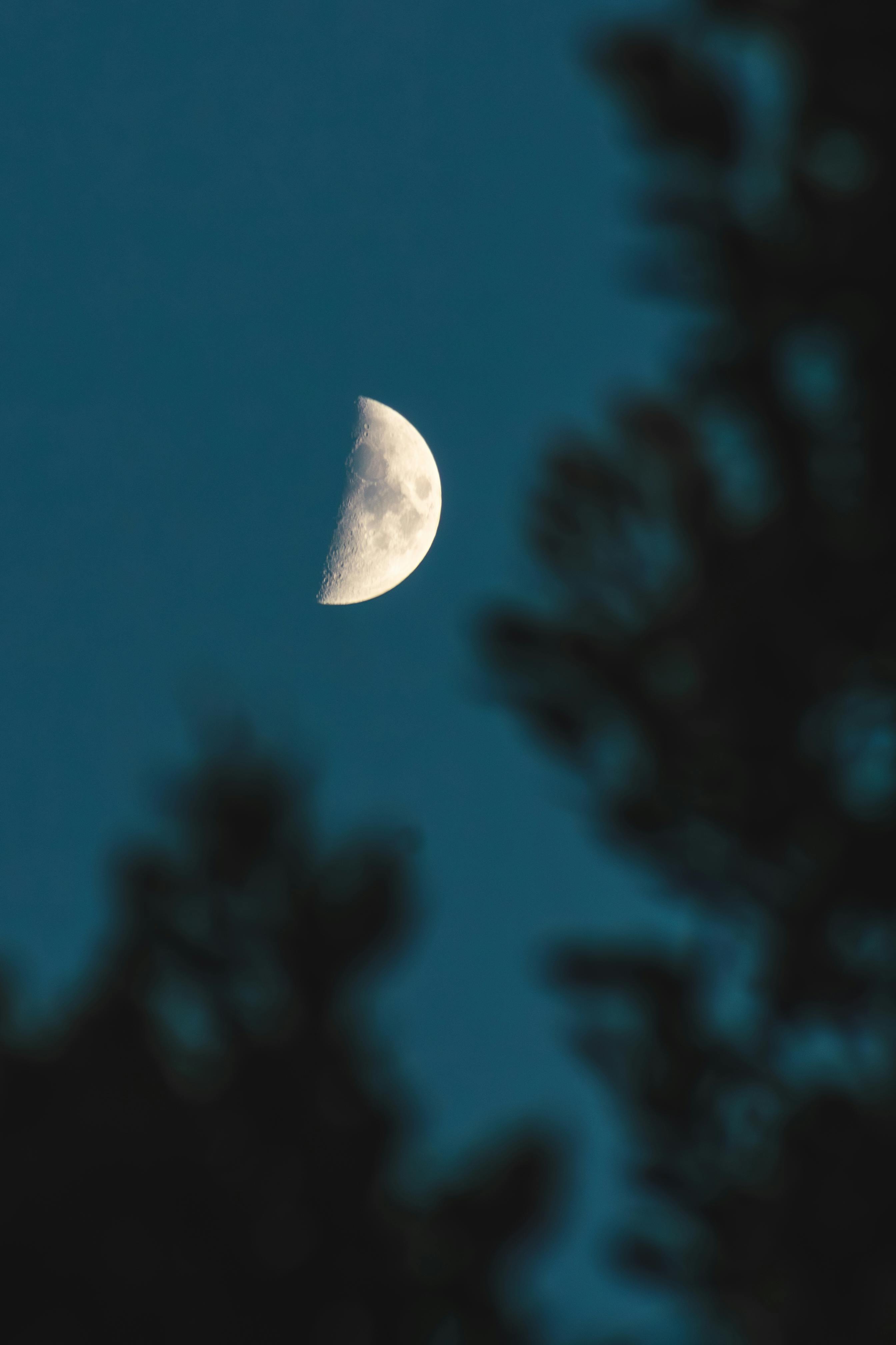 Moon Trans Mieng Photos, Download The BEST Free Moon Trans Mieng Stock ...