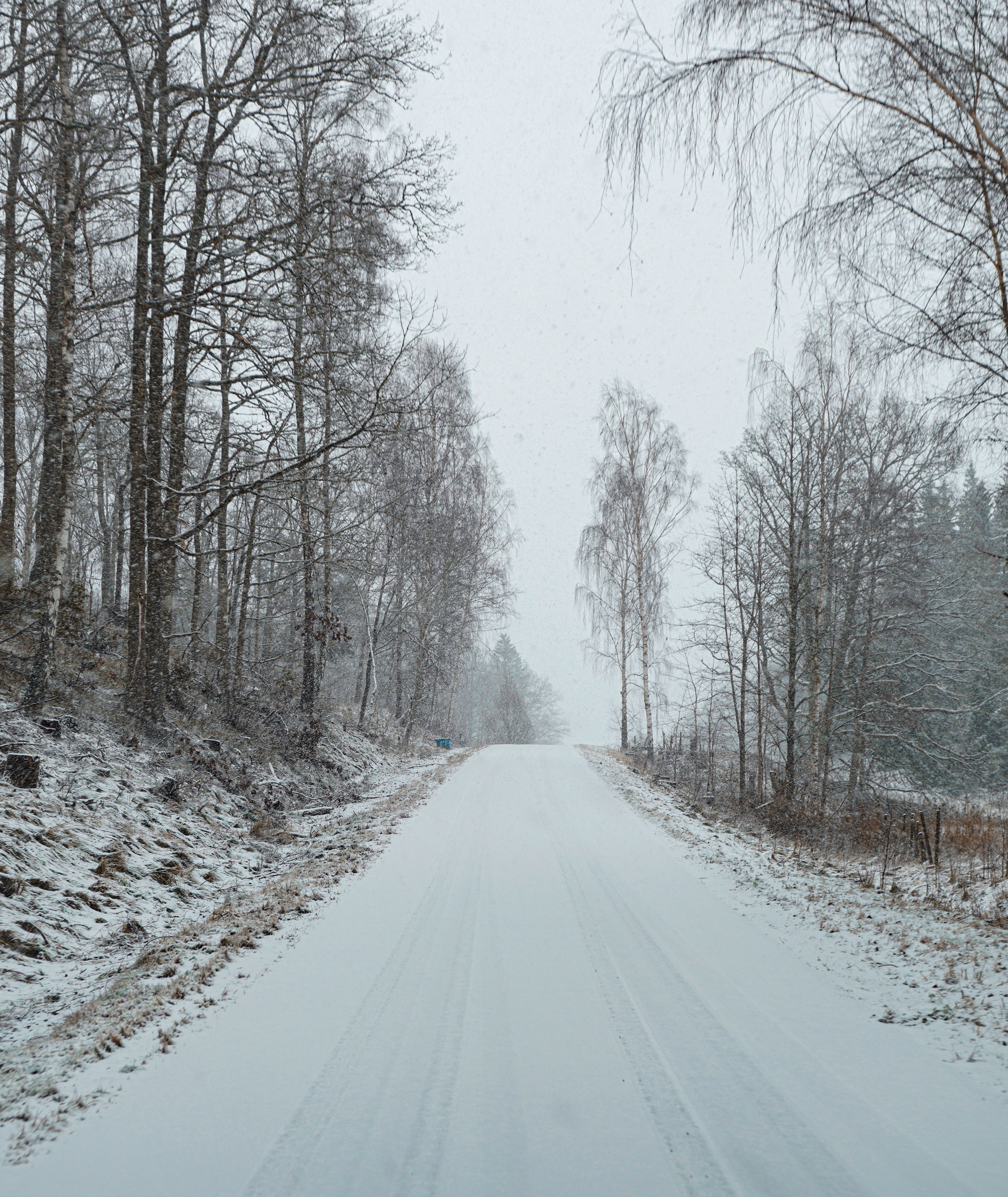 Snow Covered Road Through the Forest · Free Stock Photo